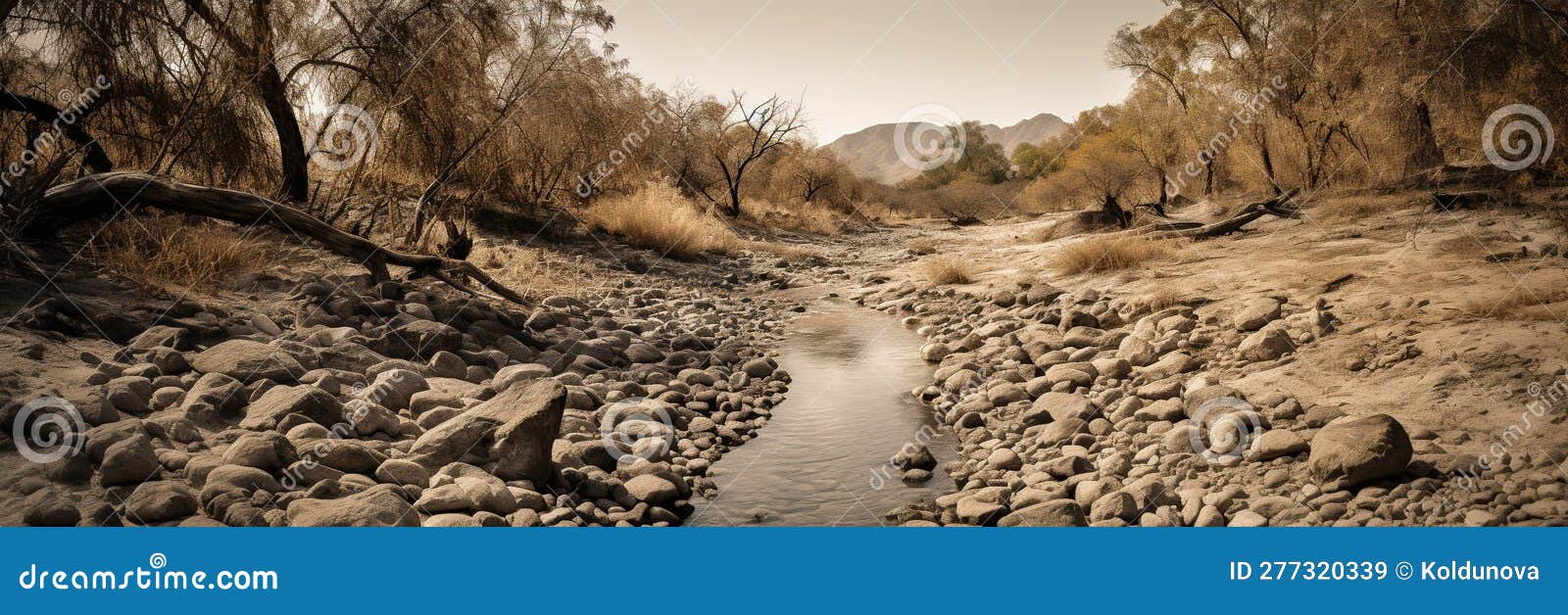 A Stark and Evocative Image of a Dry Riverbed, Showing the Devastating ...