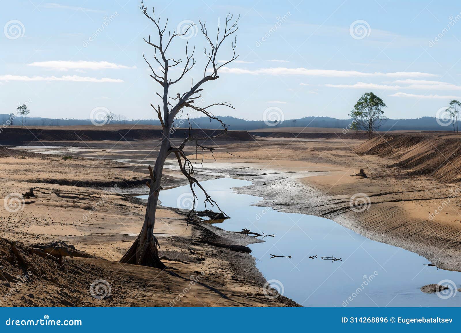 Solitary Dead Tree by Winding River in Arid Landscape. Environmental ...