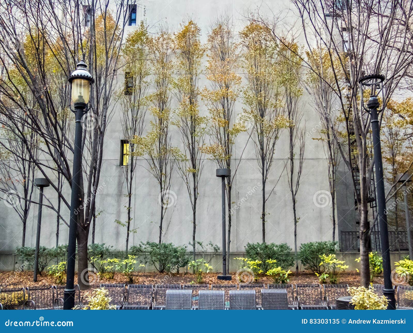 Stark Trees in the Park stock image. Image of east, side - 83303135