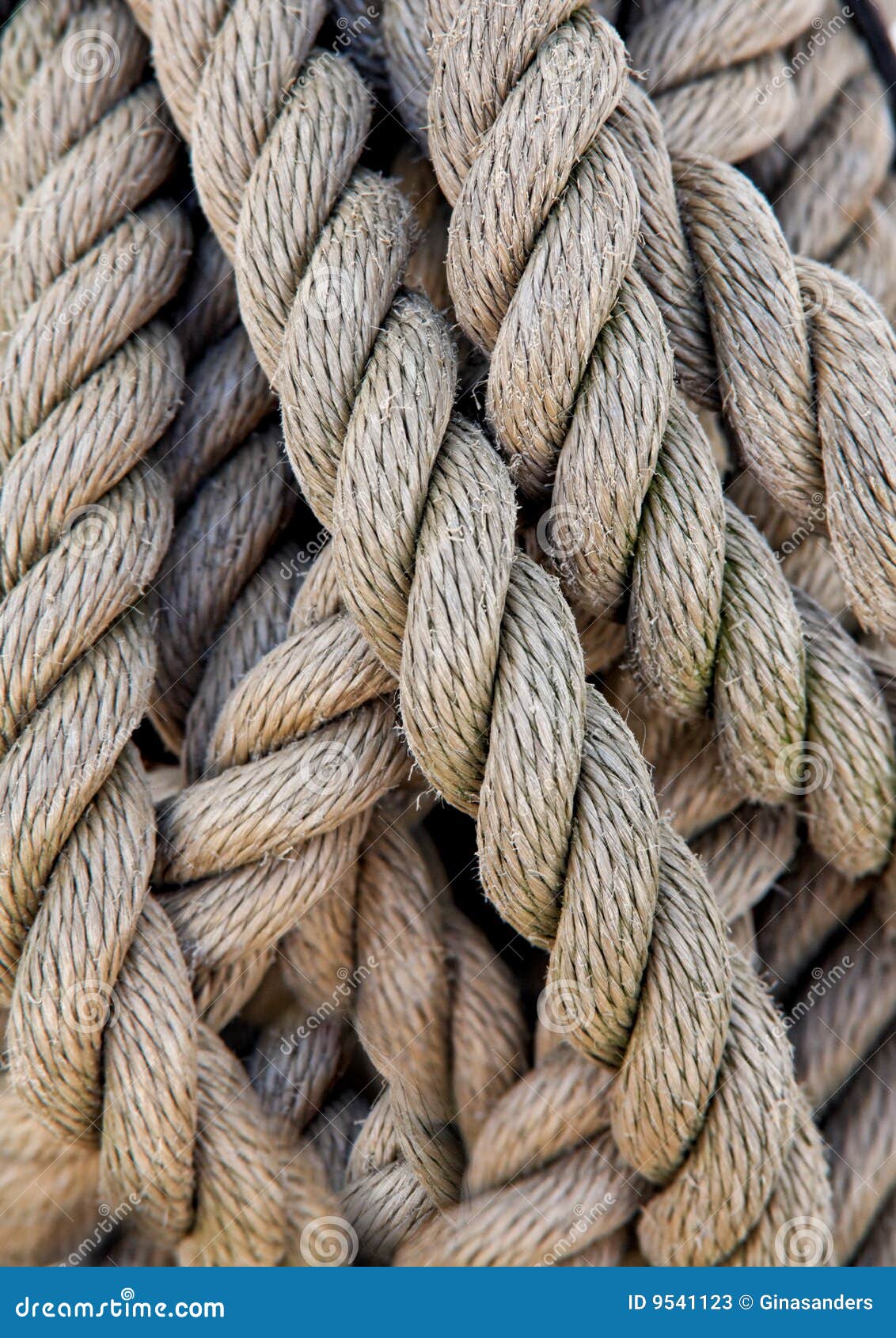 Starke Seile Einer Lieferung Taues Stockbild - Bild von stark, leistung ...