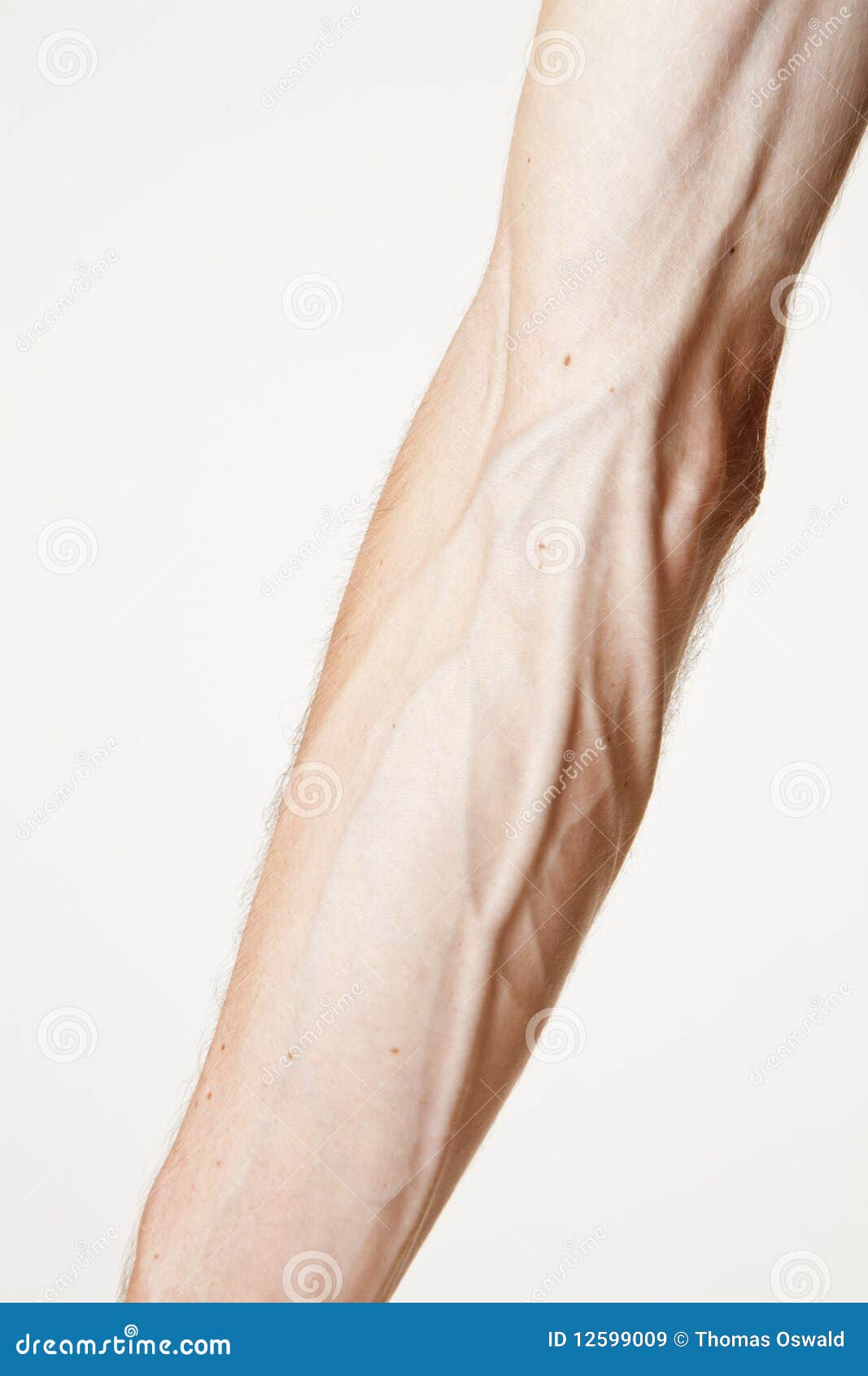 Starker Arm stockbild. Bild von stark, schlecht, erwachsener - 12599009
