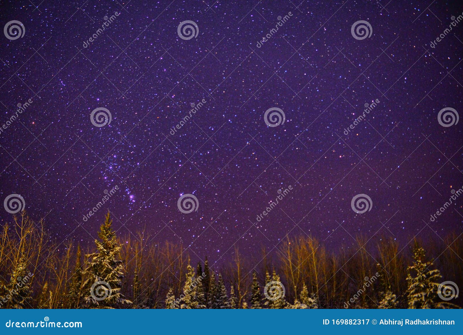 Starlight in winter night stock image. Image of night - 169882317