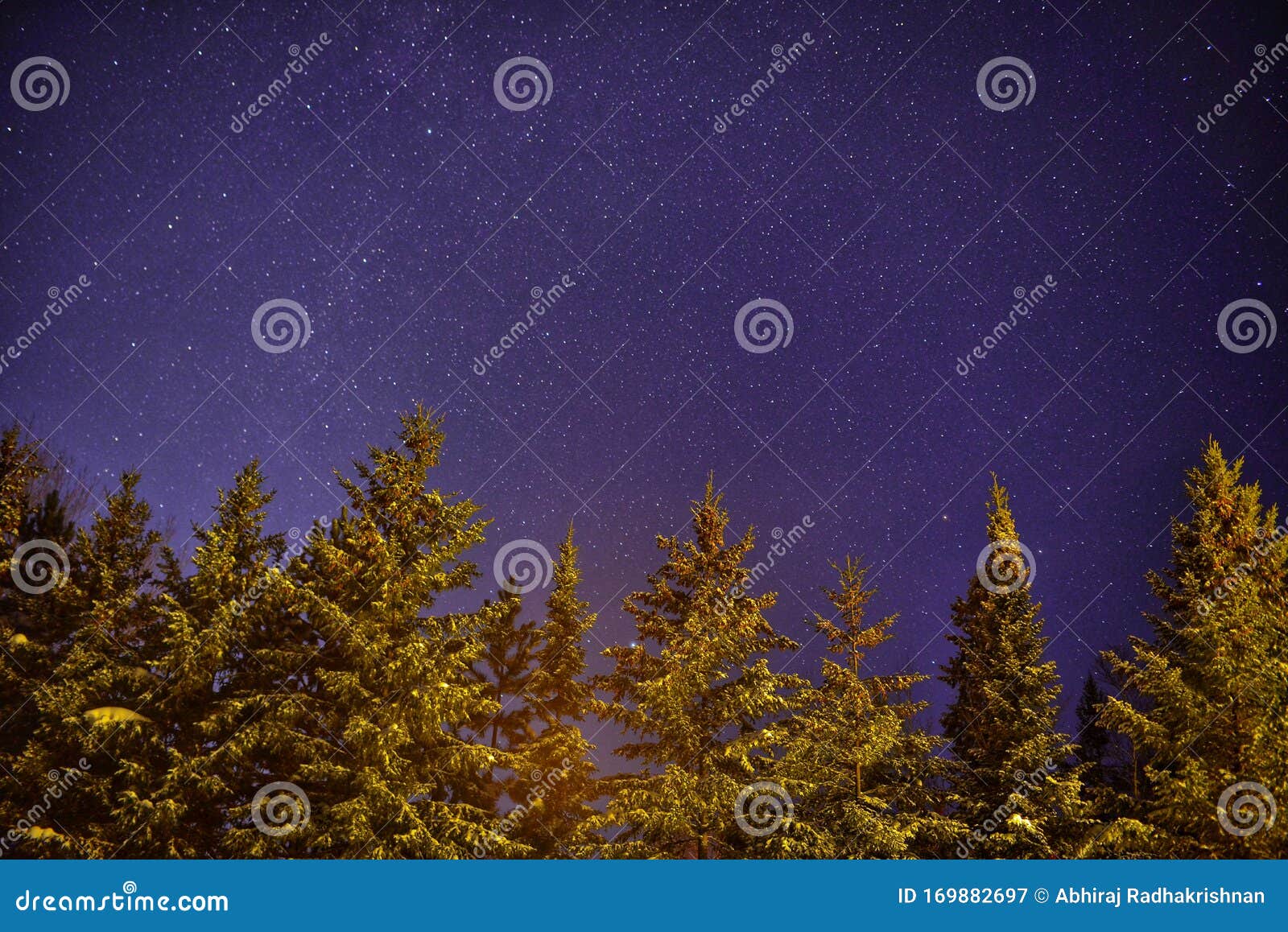 14,633 Starlight Night Photos - Free & Royalty-Free Stock Photos from ...