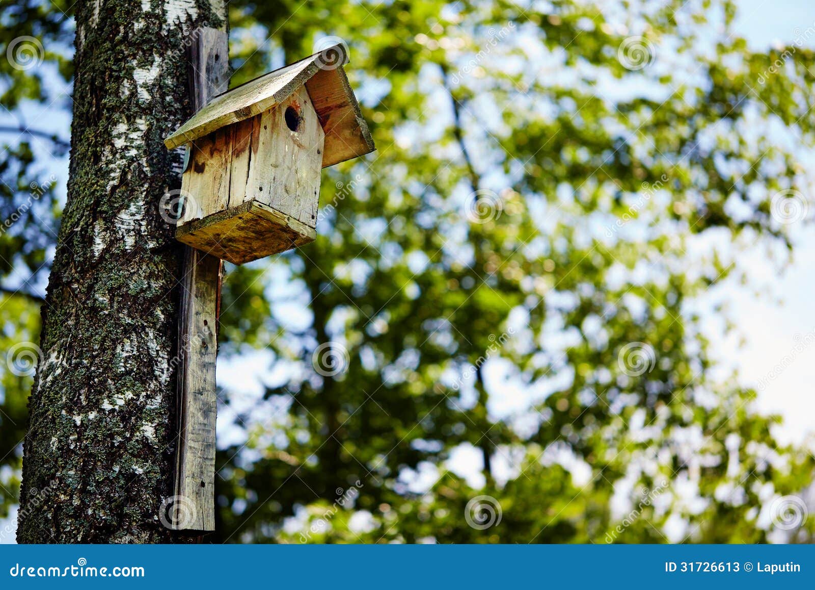 Starling house stock image. Image of aviary, nest, birdhouse - 31726613