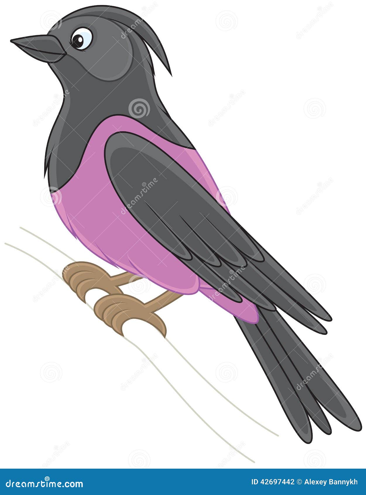 Starling Stock Illustrations – 799 Starling Stock Illustrations ...