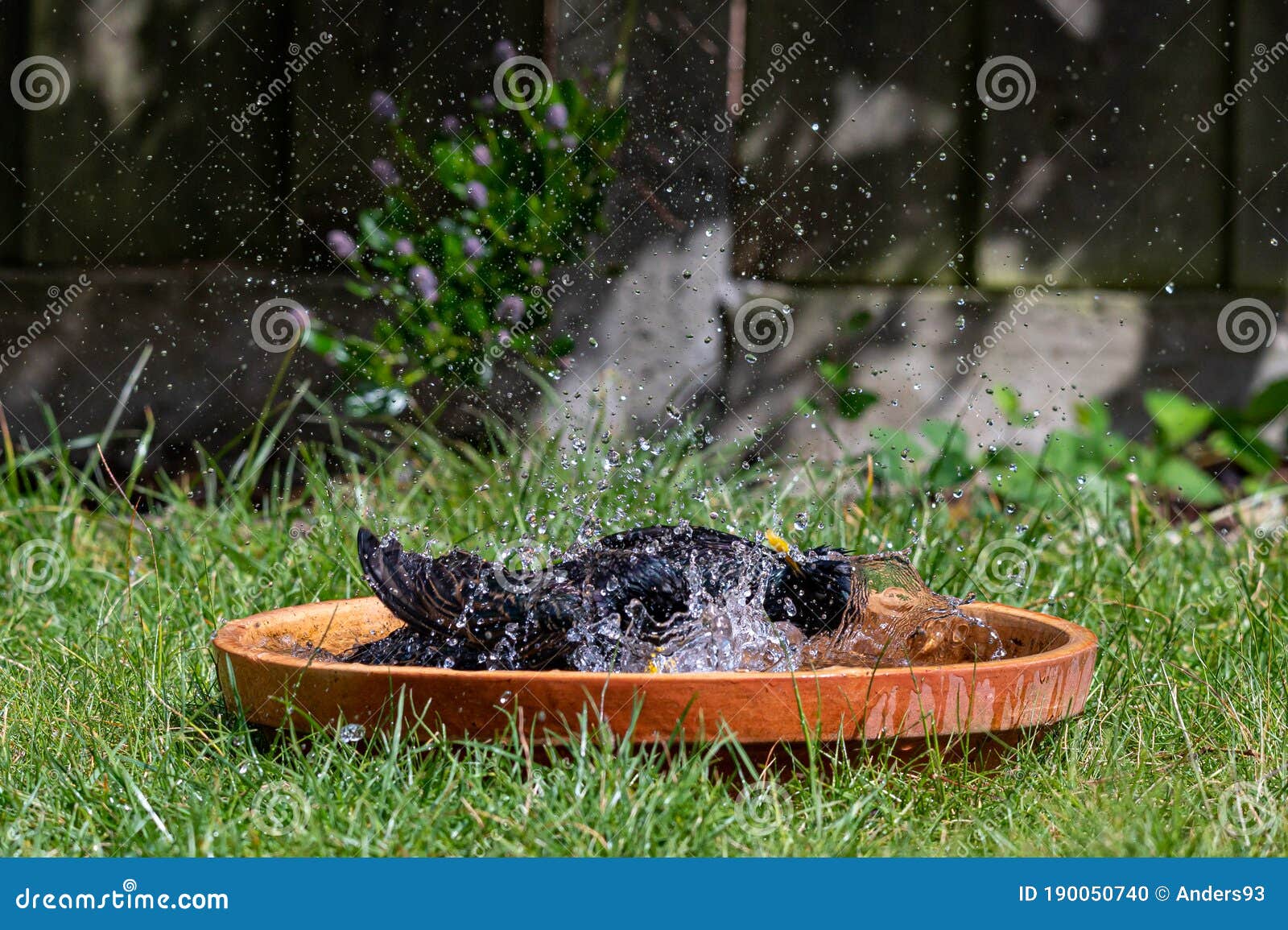Dry Splash Bird Poop On Dusty Solar Panel Surface Stock Image ...