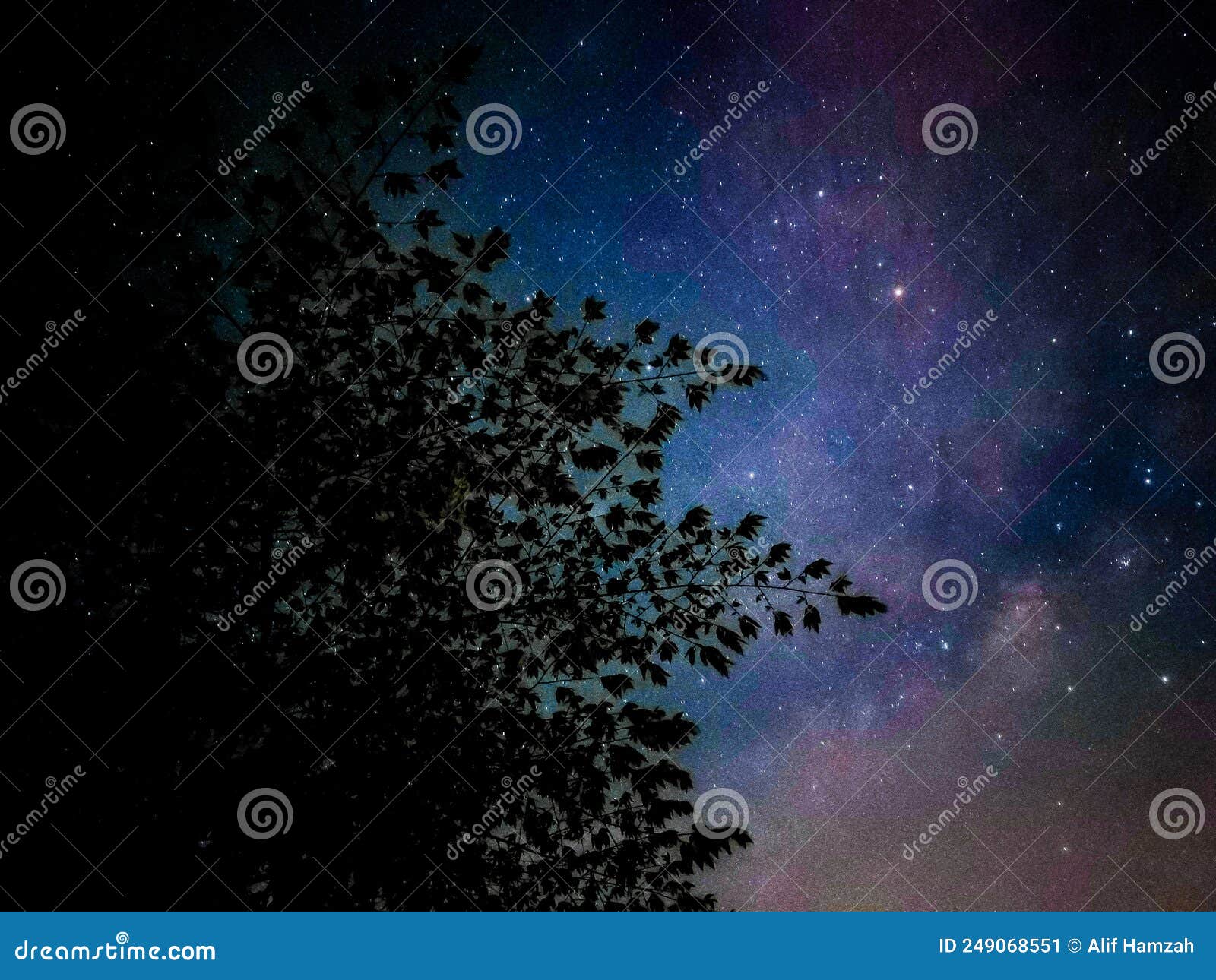 Starry Blue Sky at Night with Tree Stock Image - Image of blue, starry ...