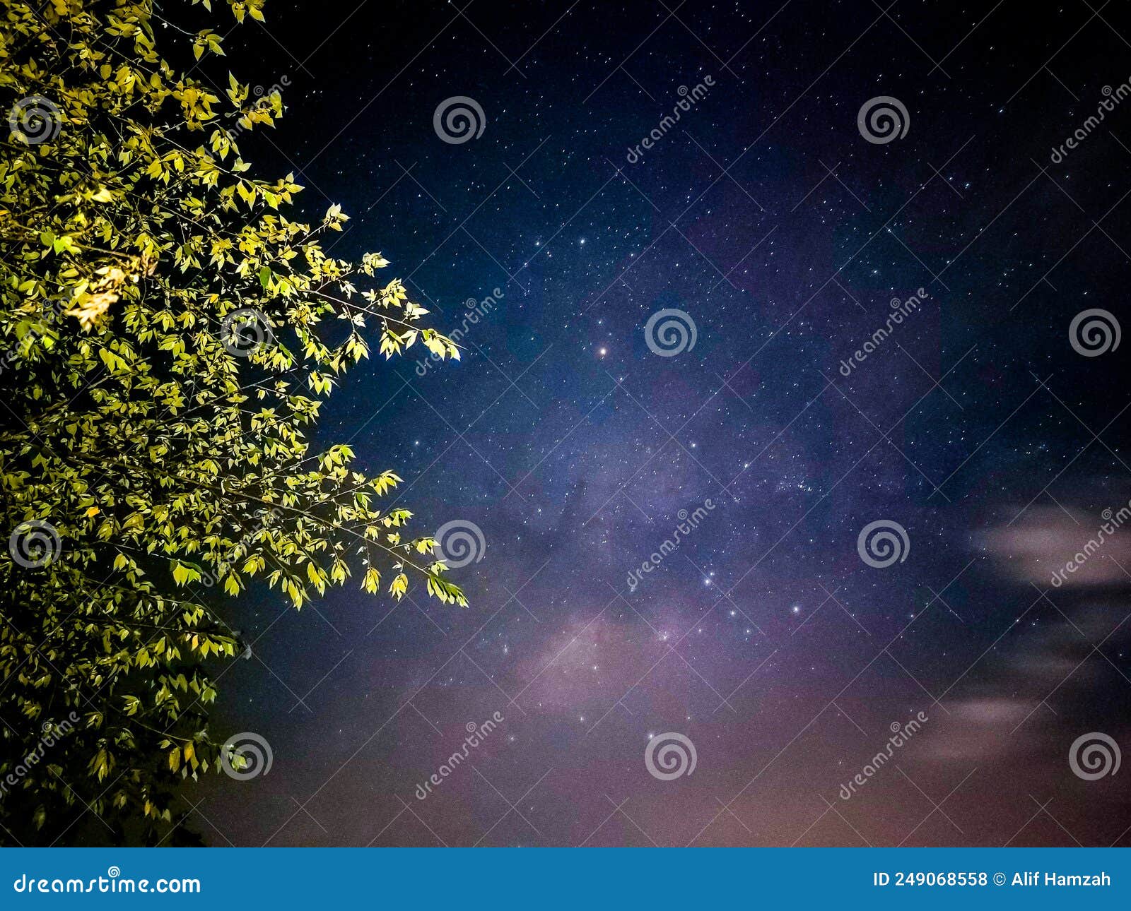 Starry Blue Sky at Night with Tree Stock Photo - Image of screenshot ...