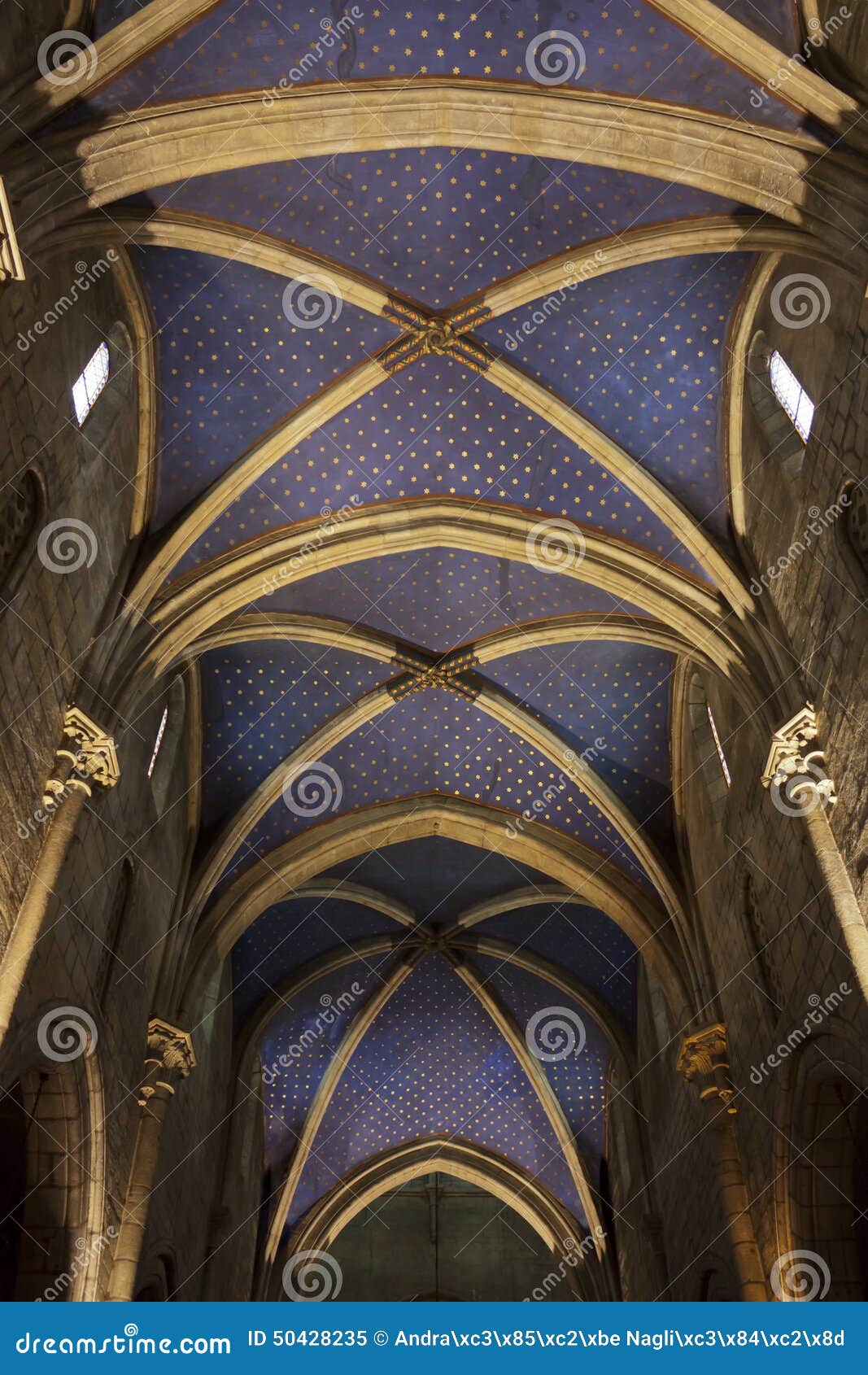 A Gothic Cathedral Ceiling in Neuchatel, Switzerland Stock Image ...