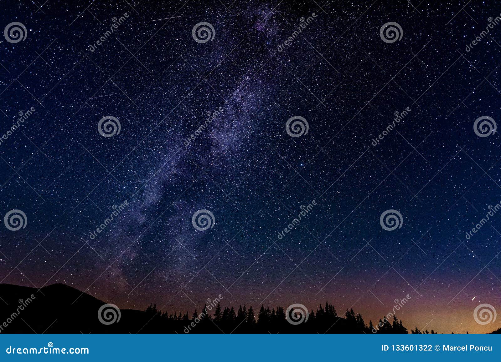 Starry Forest Background Up in the Mountains Stock Photo - Image of ...