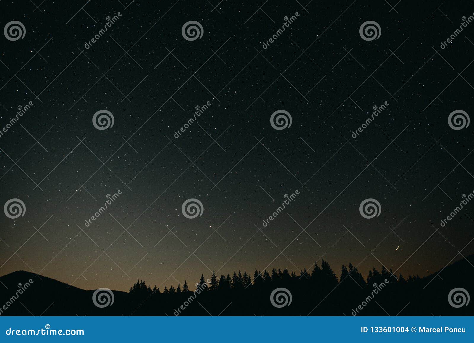 Starry Forest Background Up In The Mountains Stock Photo ...