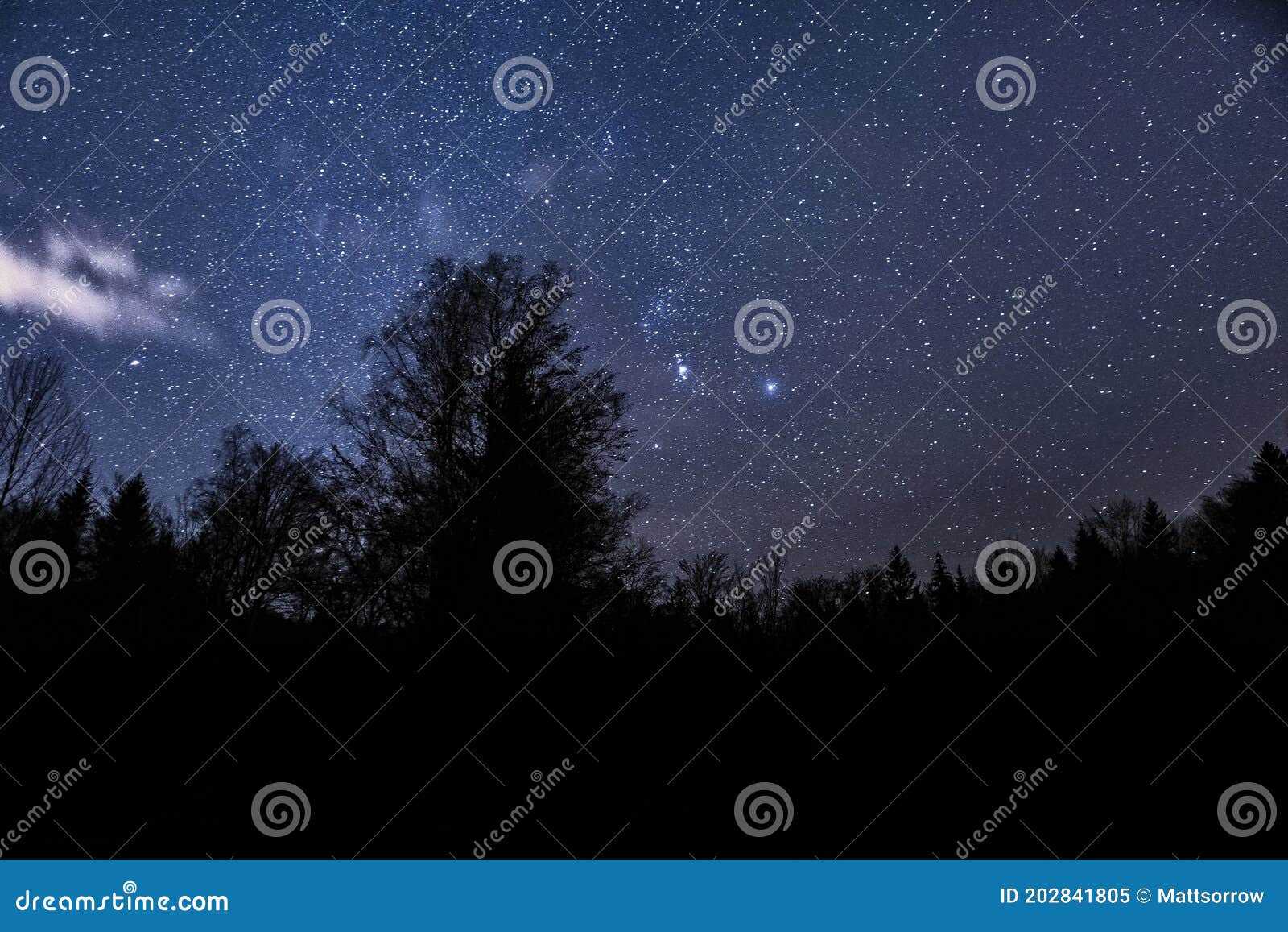 Starry night cloudless sky stock image. Image of trees - 202841805