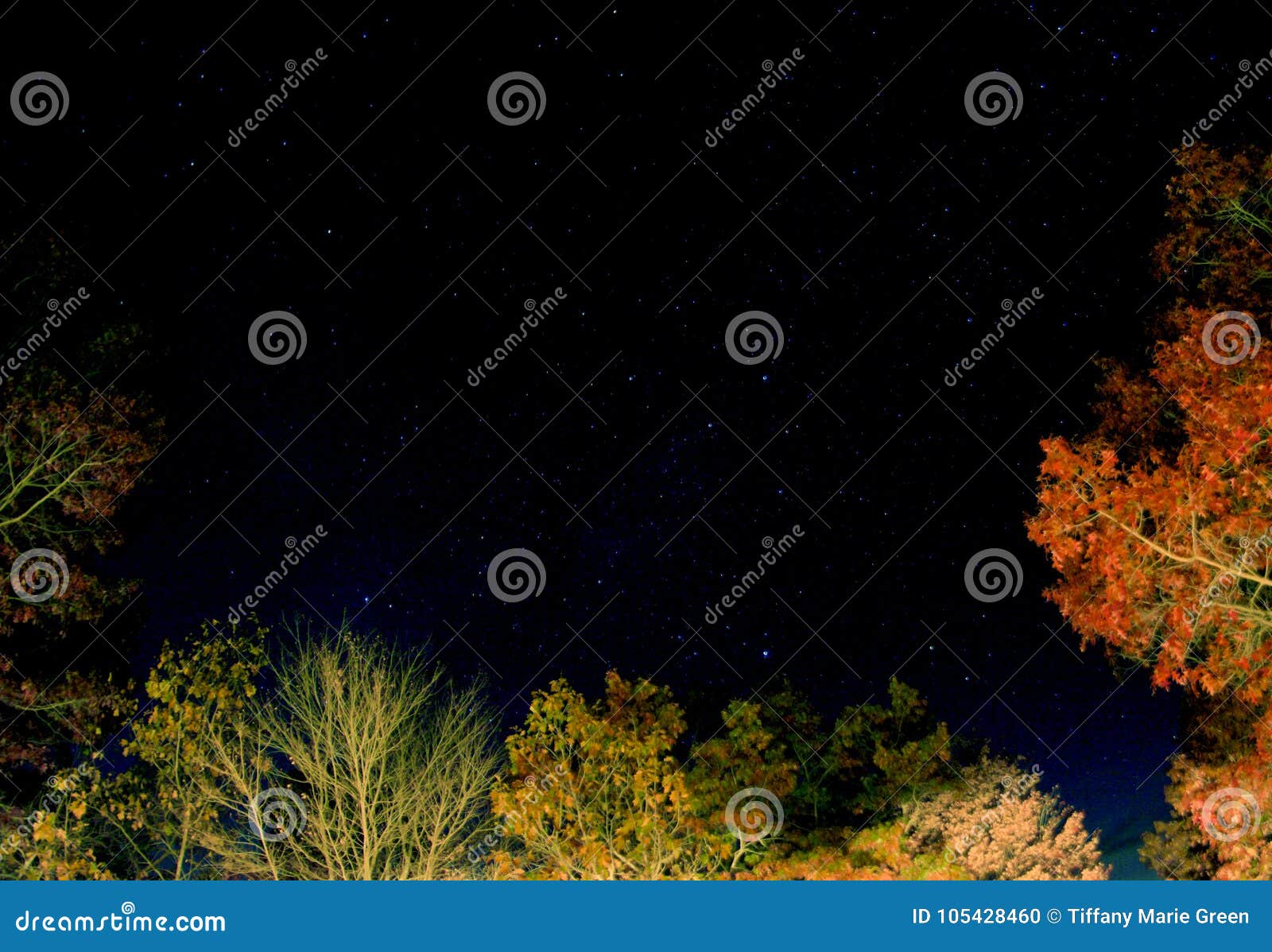 The Starry Night on a Fall Day Stock Photo - Image of orange ...