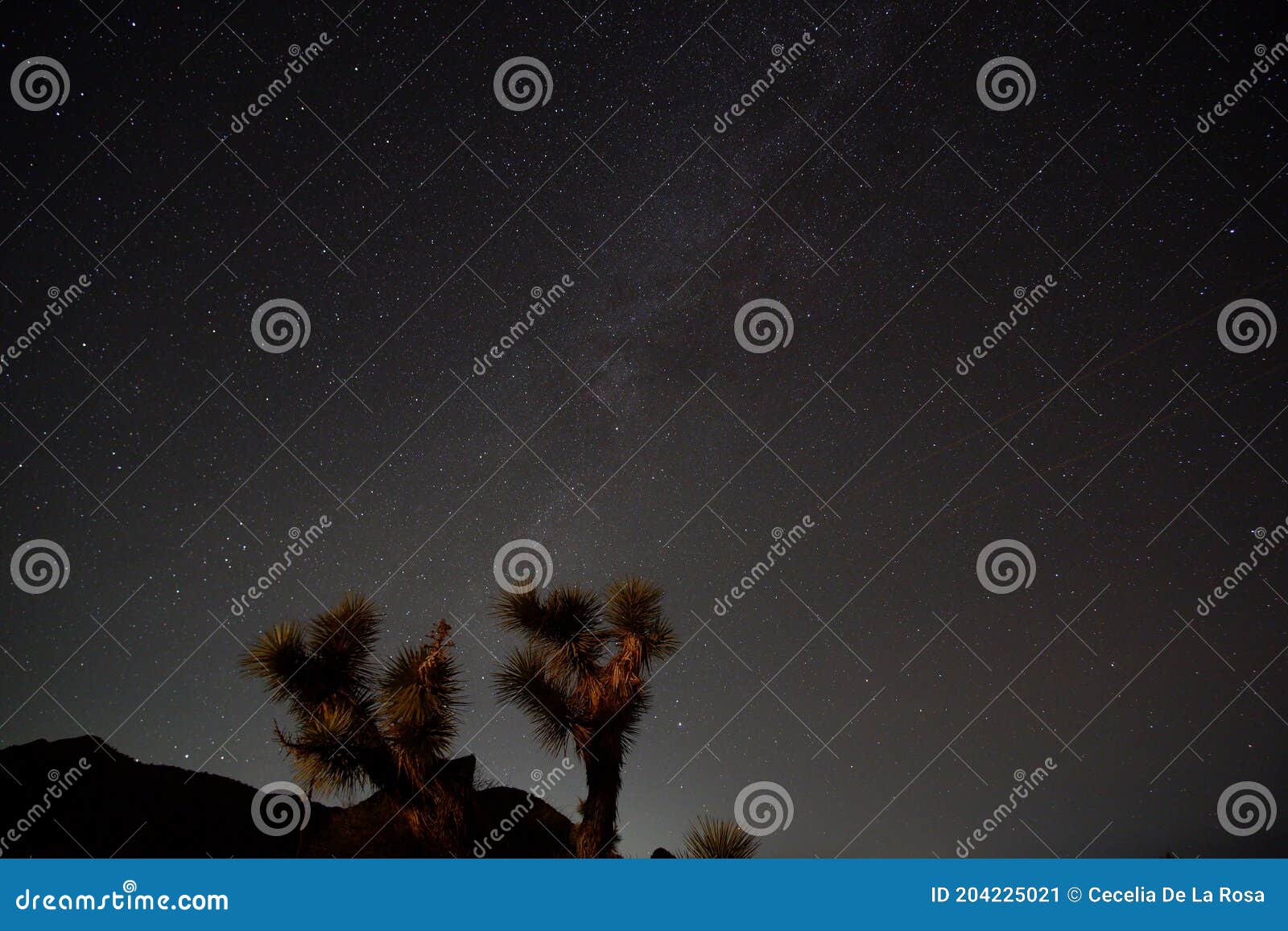 Starry Night in Joshua Tree Stock Image - Image of night, mountains ...