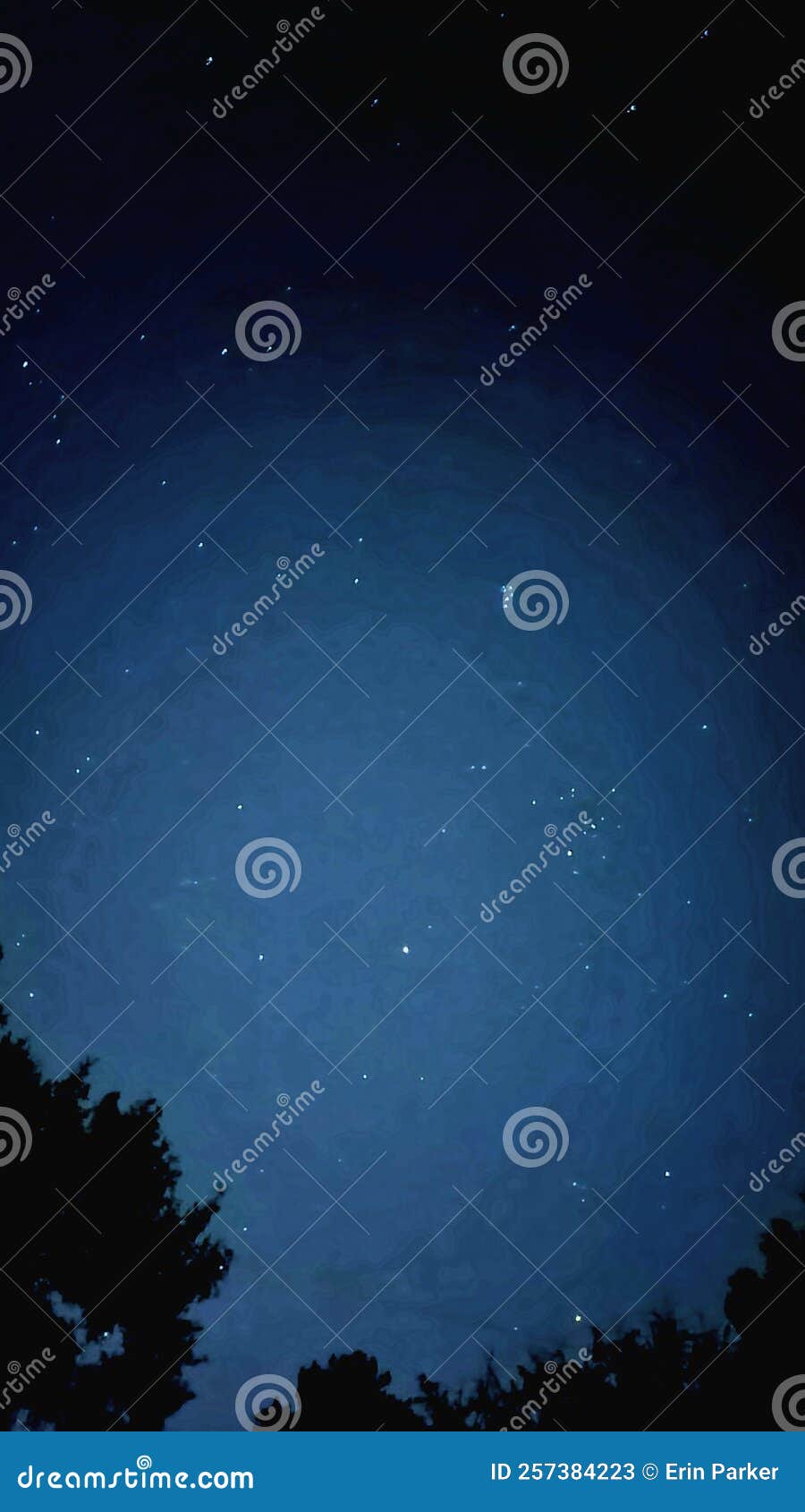Starry Night Jupiter Rising Stock Image - Image of nature, jupiter ...