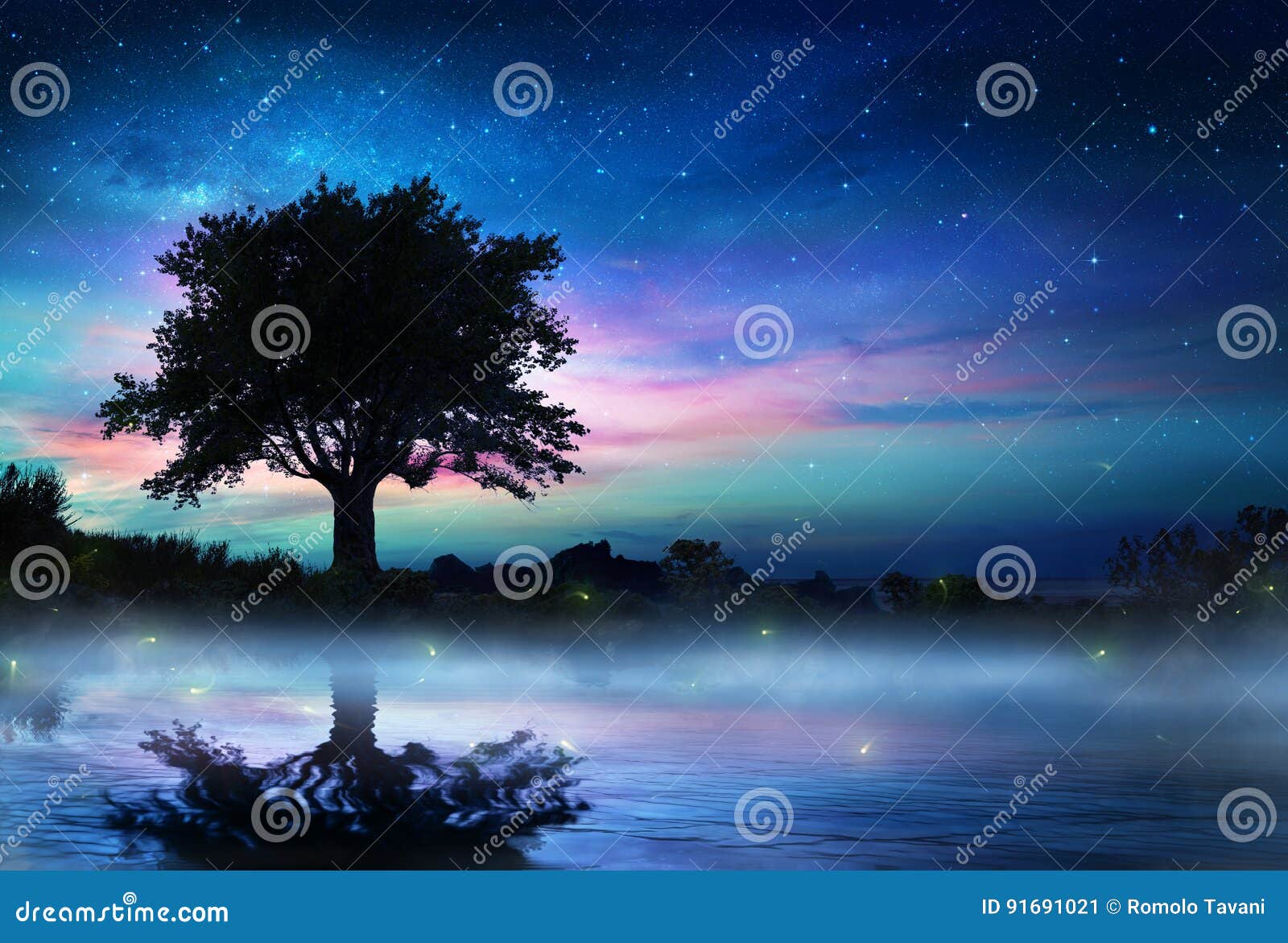 Starry Night with Lonely Tree Stock Image - Image of night, stars: 91691021