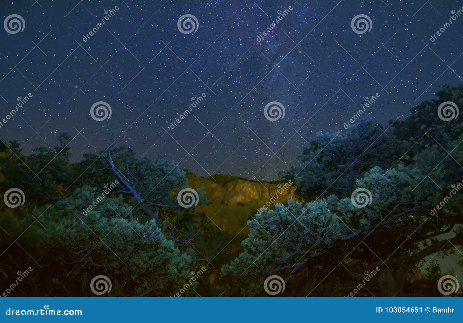 Starry night. stock image. Image of astrology, foreground - 103054651