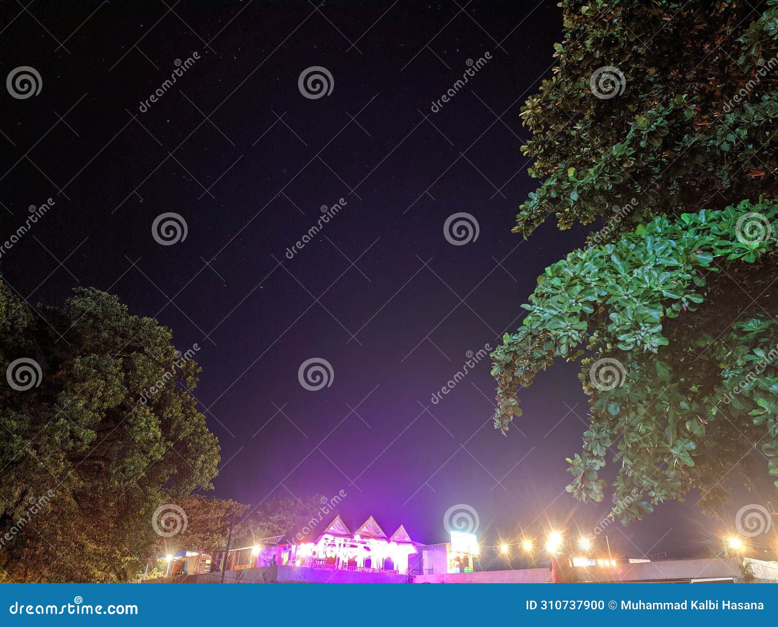 Starry Night Over the City Park Stock Photo - Image of colors, night ...