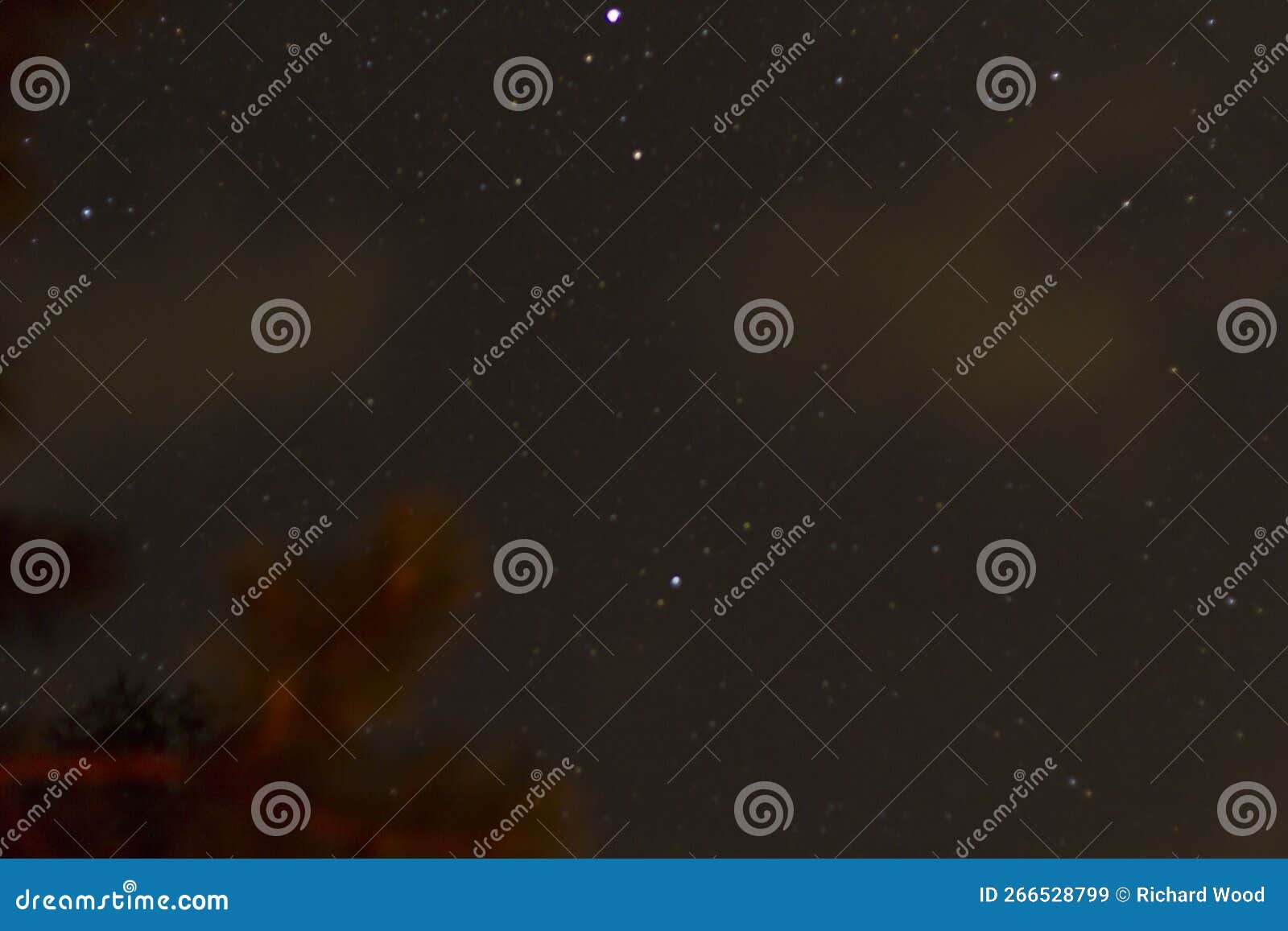 View of Starry Night Skies in Michigan Stock Image - Image of celestial ...