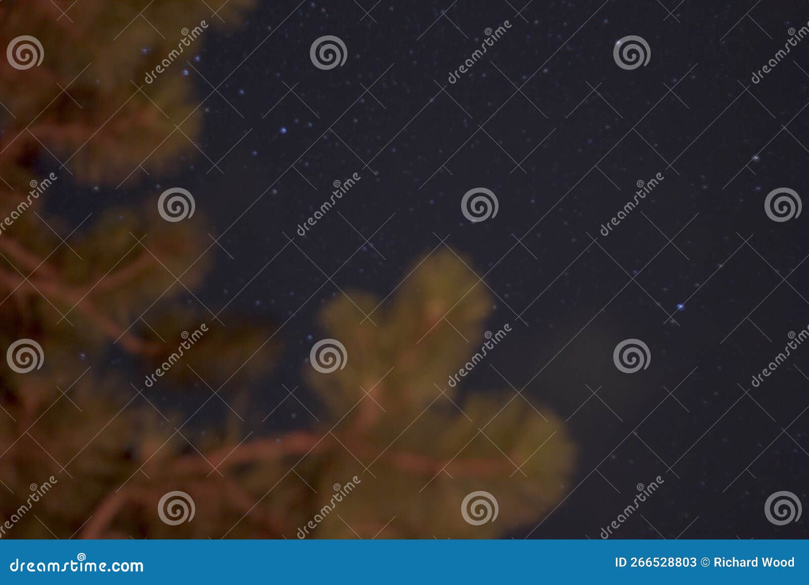 View of Starry Night Skies in Michigan Stock Image - Image of heavens ...