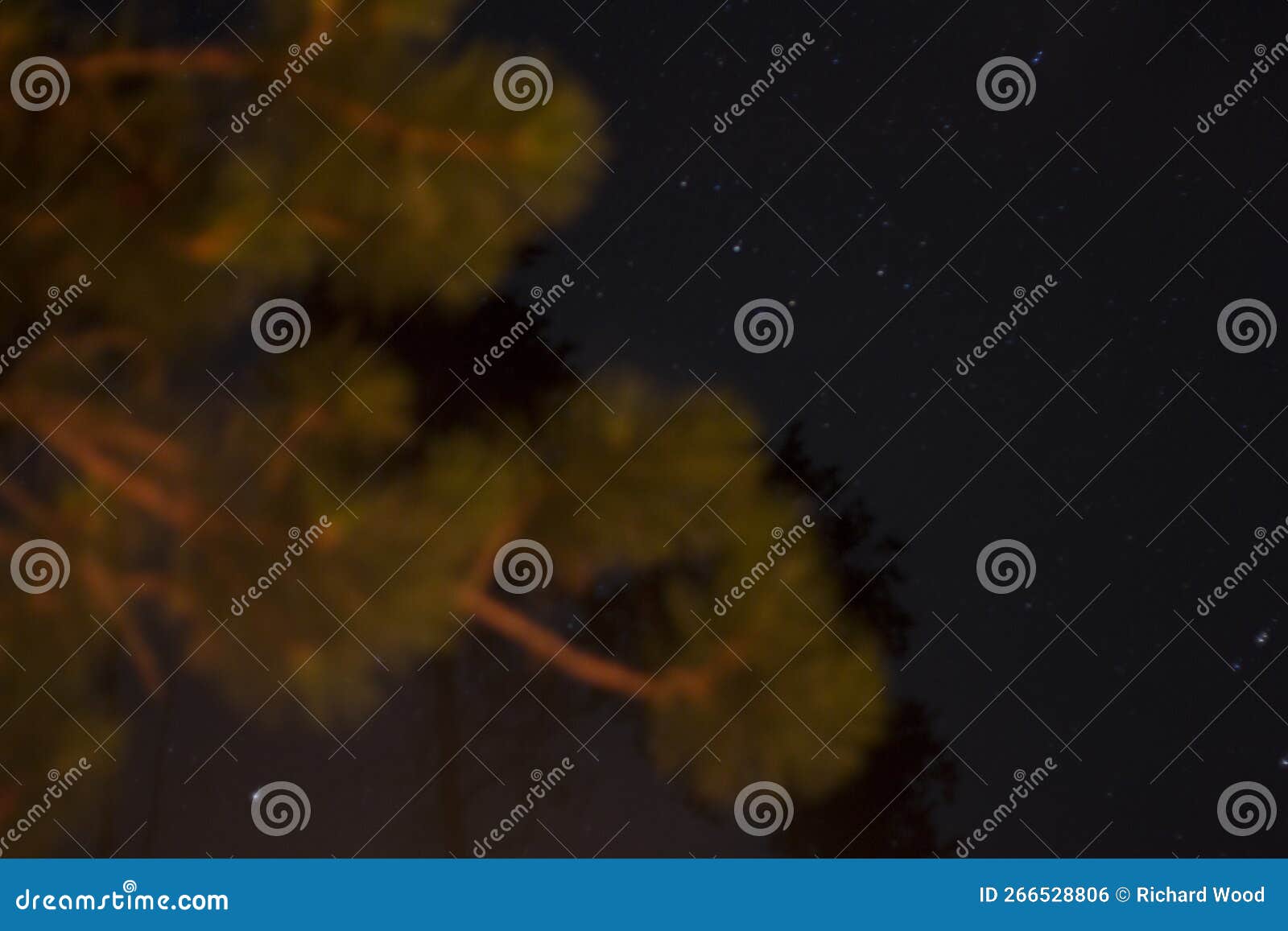 View of Starry Night Skies in Michigan Stock Photo - Image of heavens ...