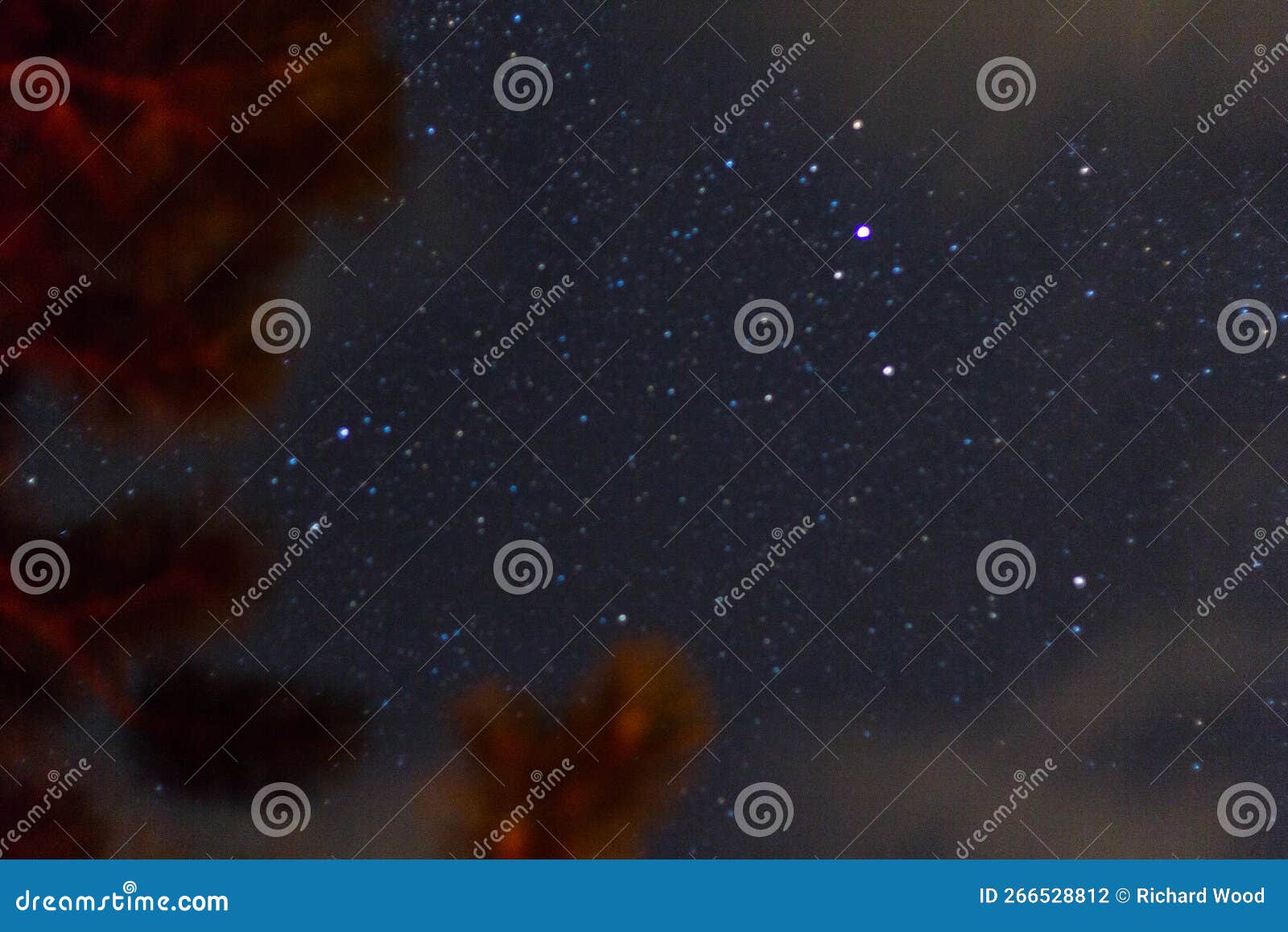 View of Starry Night Skies in Michigan Stock Photo - Image of view ...