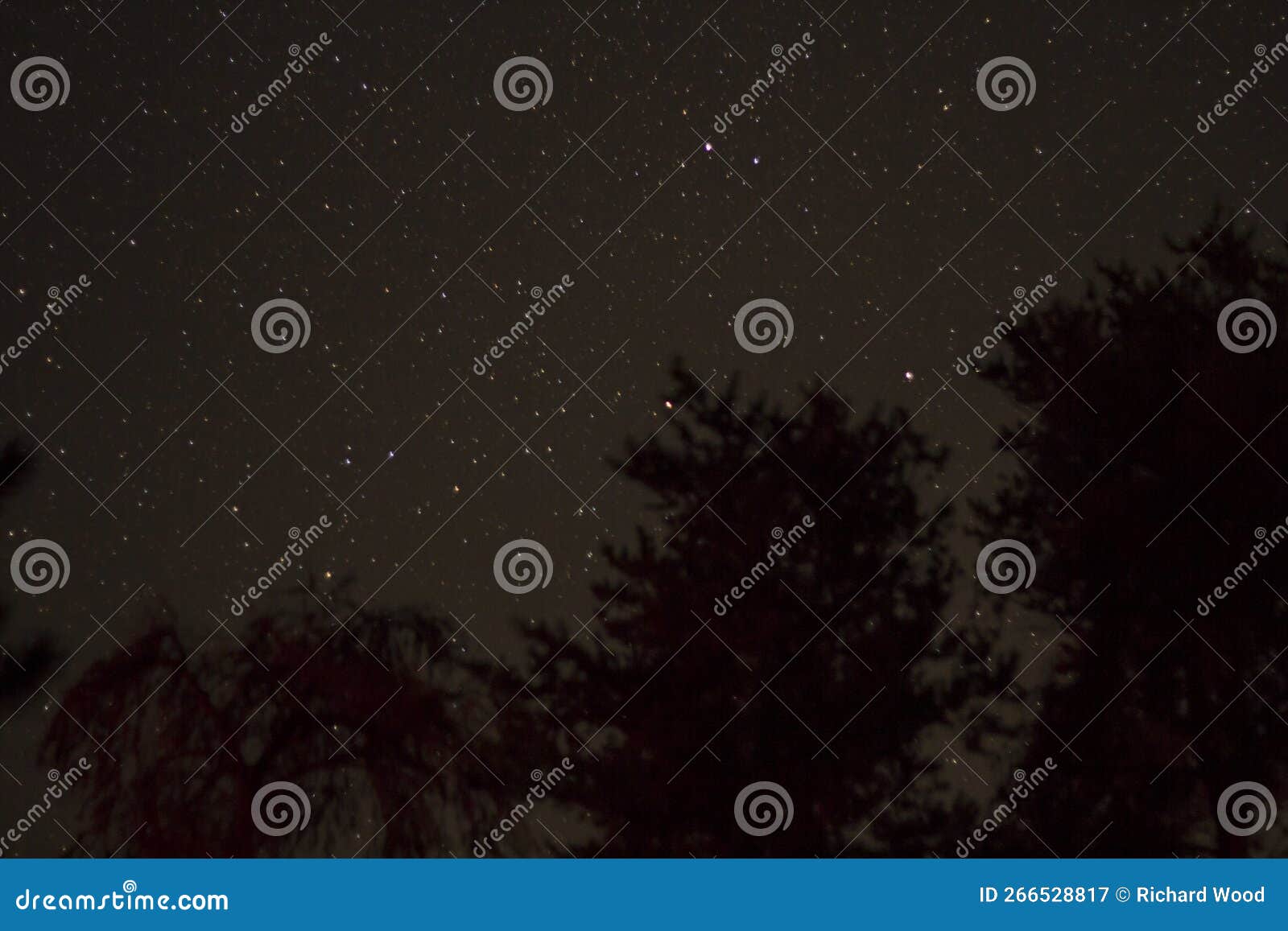 View of Starry Night Skies in Michigan Stock Image - Image of star ...