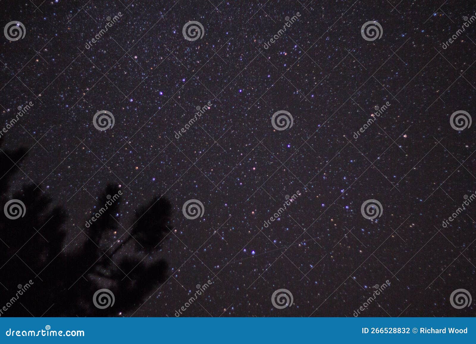 View of Starry Night Skies in Michigan Stock Photo - Image of clear ...