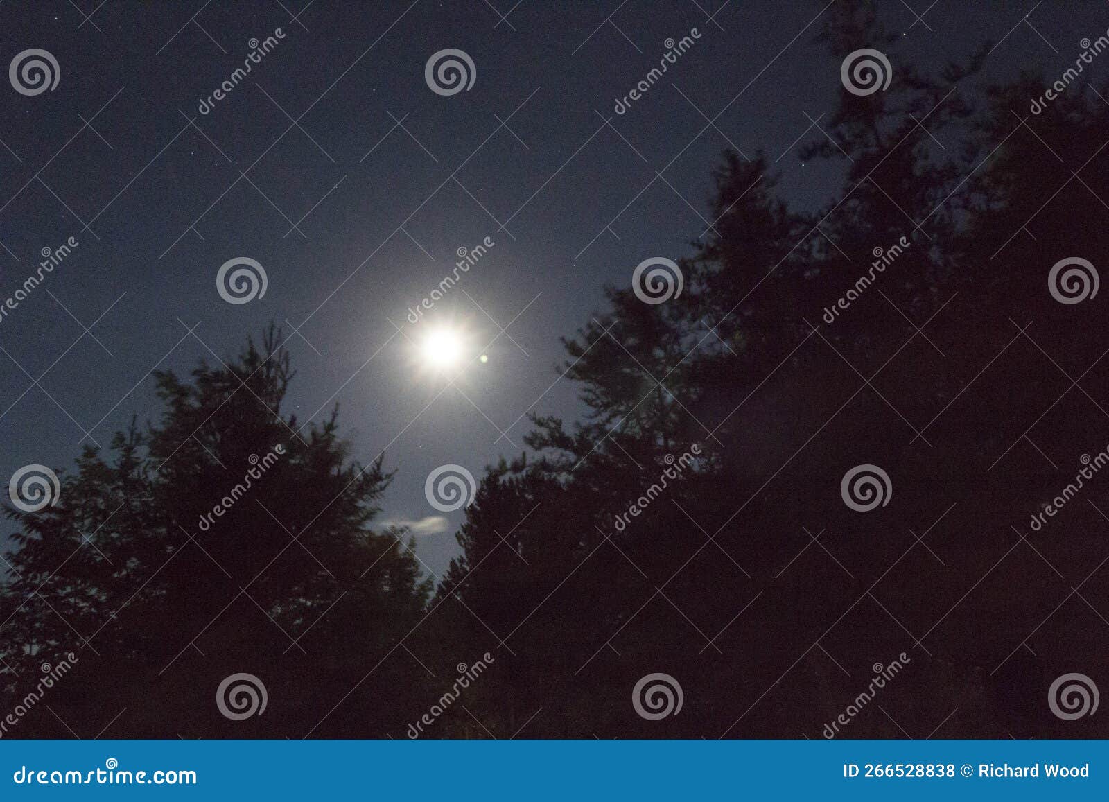View of Starry Night Skies in Michigan Stock Photo - Image of michigan ...