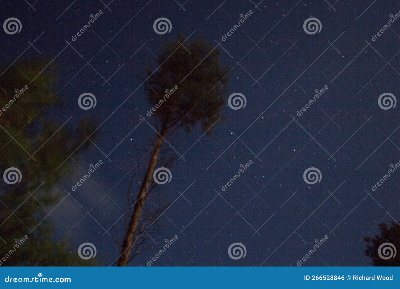 View of Starry Night Skies in Michigan Stock Photo - Image of starry ...