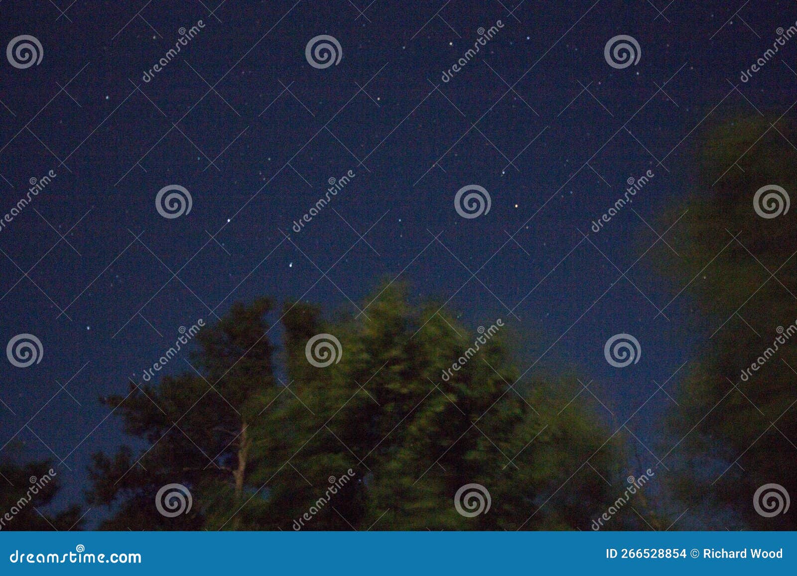 View of Starry Night Skies in Michigan Stock Photo - Image of clear ...
