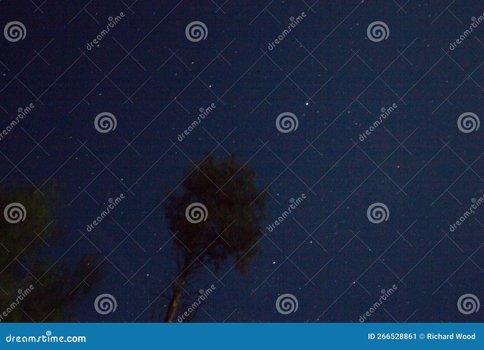 View of Starry Night Skies in Michigan Stock Image - Image of skies ...