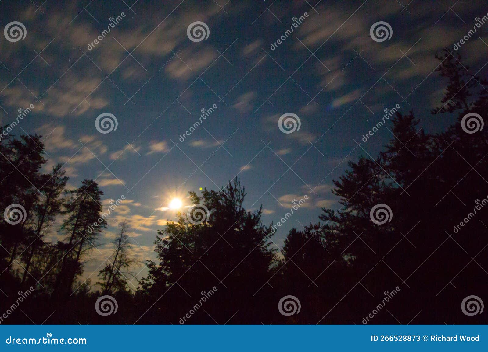 View of Starry Night Skies in Michigan Stock Image - Image of starry ...