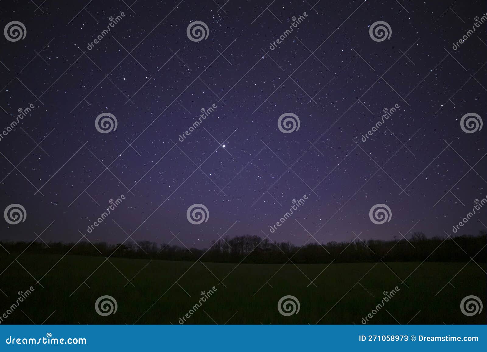 Starry Night Sky Above Field and Forest Stock Image - Image of natural ...