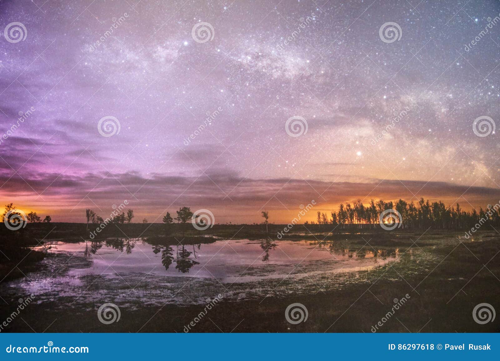 Starry Night Sky in a Forest Stock Photo - Image of graphic, galaxy ...
