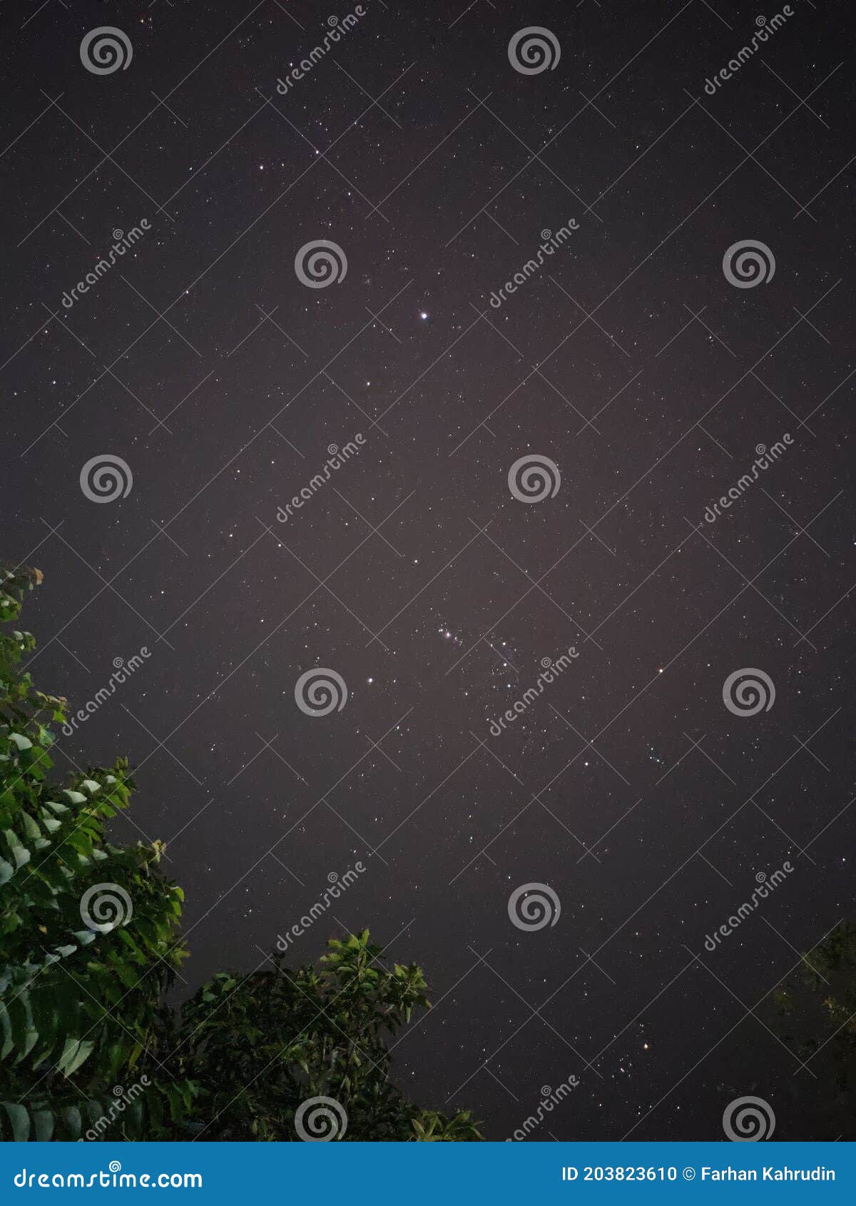 Starry Night Sky Full of Stars Stock Photo - Image of stars, milkyway ...