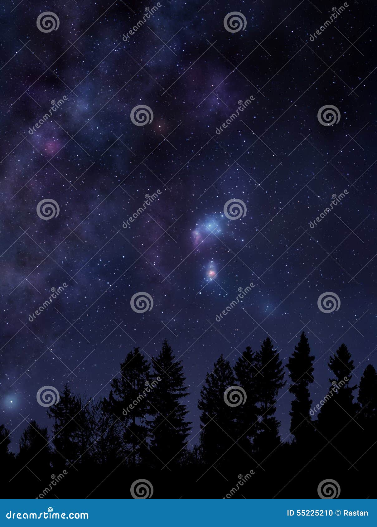 Starry Night Sky Over the Forest Stock Photo - Image of mysterious ...