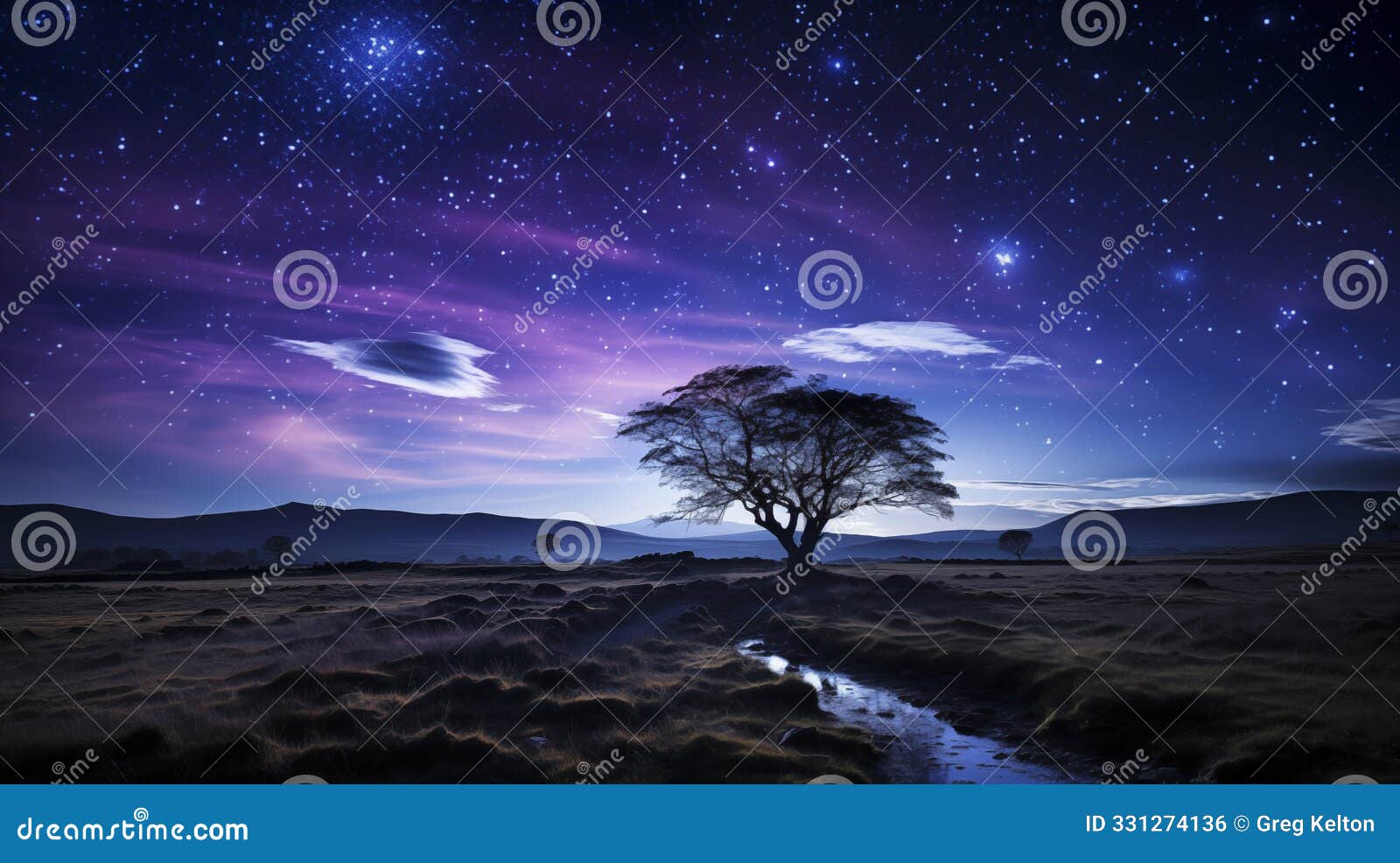 Starry Night Sky Over a Lone Tree in a Field Stock Illustration ...