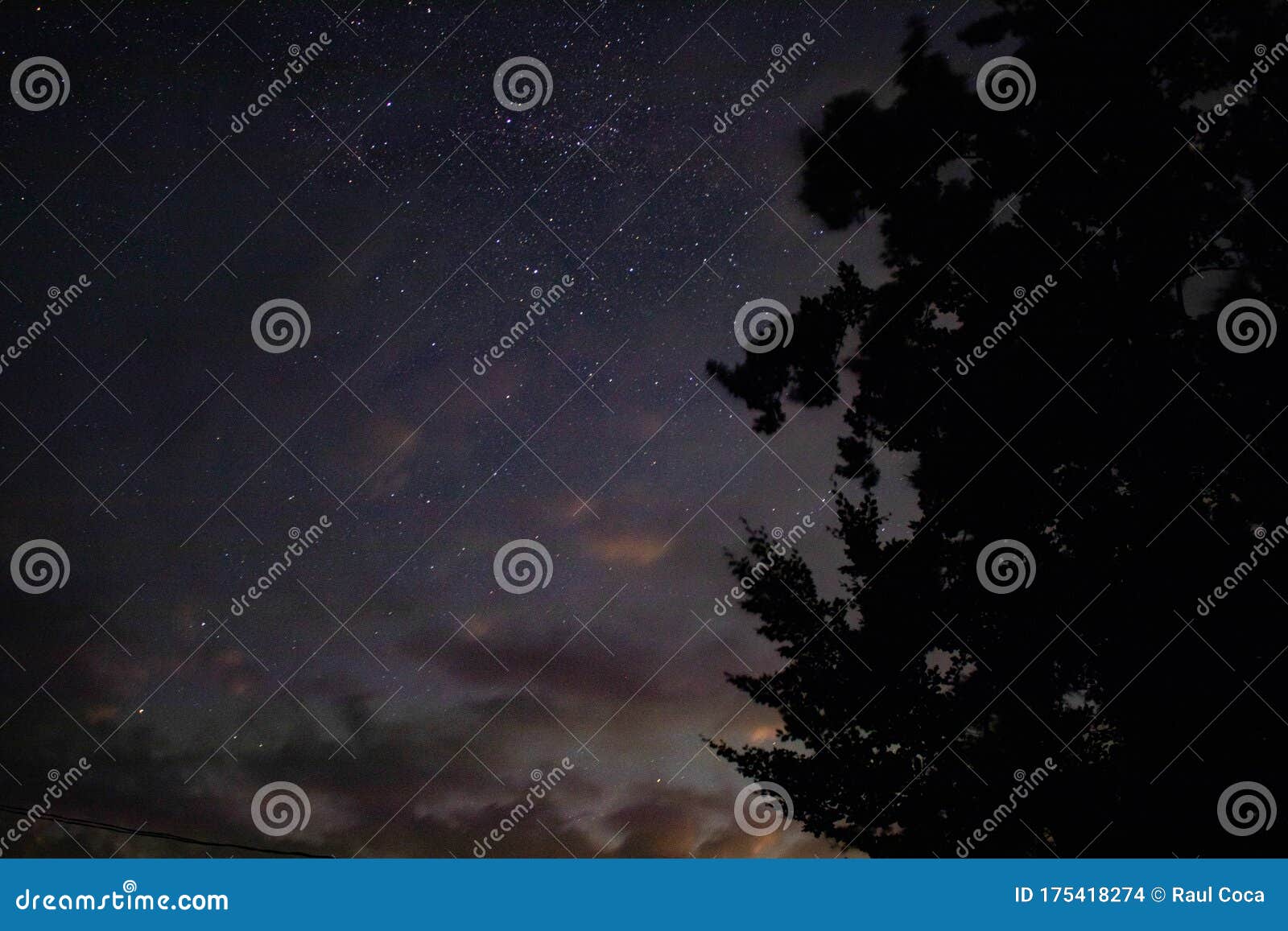 Starry Night Sky Over a Tree Stock Photo - Image of nature, green ...