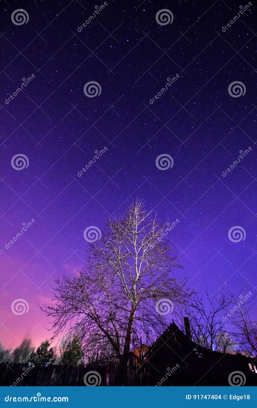 Starry Night Sky Over Tree and Small House Stock Photo - Image of ...