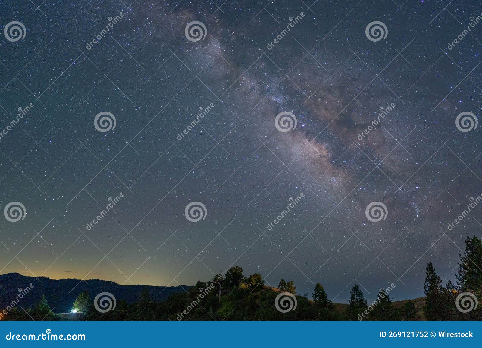Starry Night Sky Over the Trees Stock Photo - Image of view, beauty ...