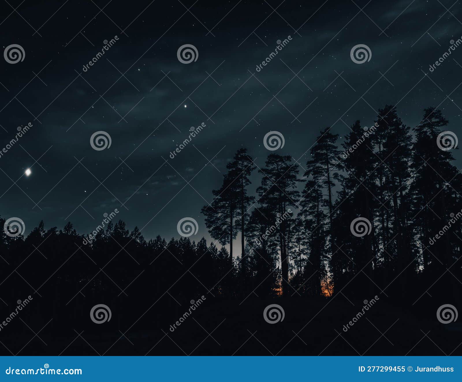 Starry dark night stock image. Image of stars, starry - 277299455