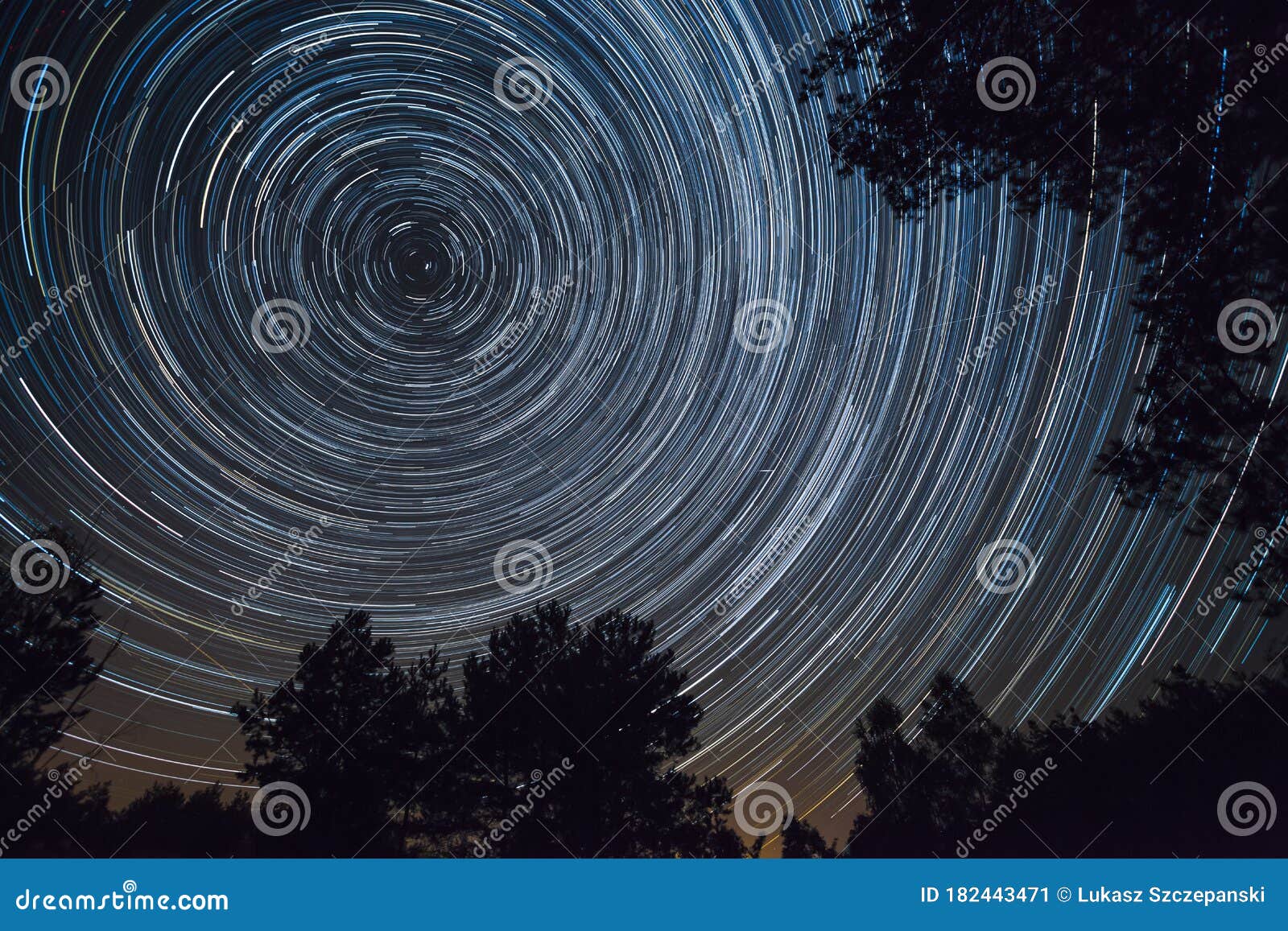 Starry Night Sky, Startrails between Trees Stock Image - Image of ...