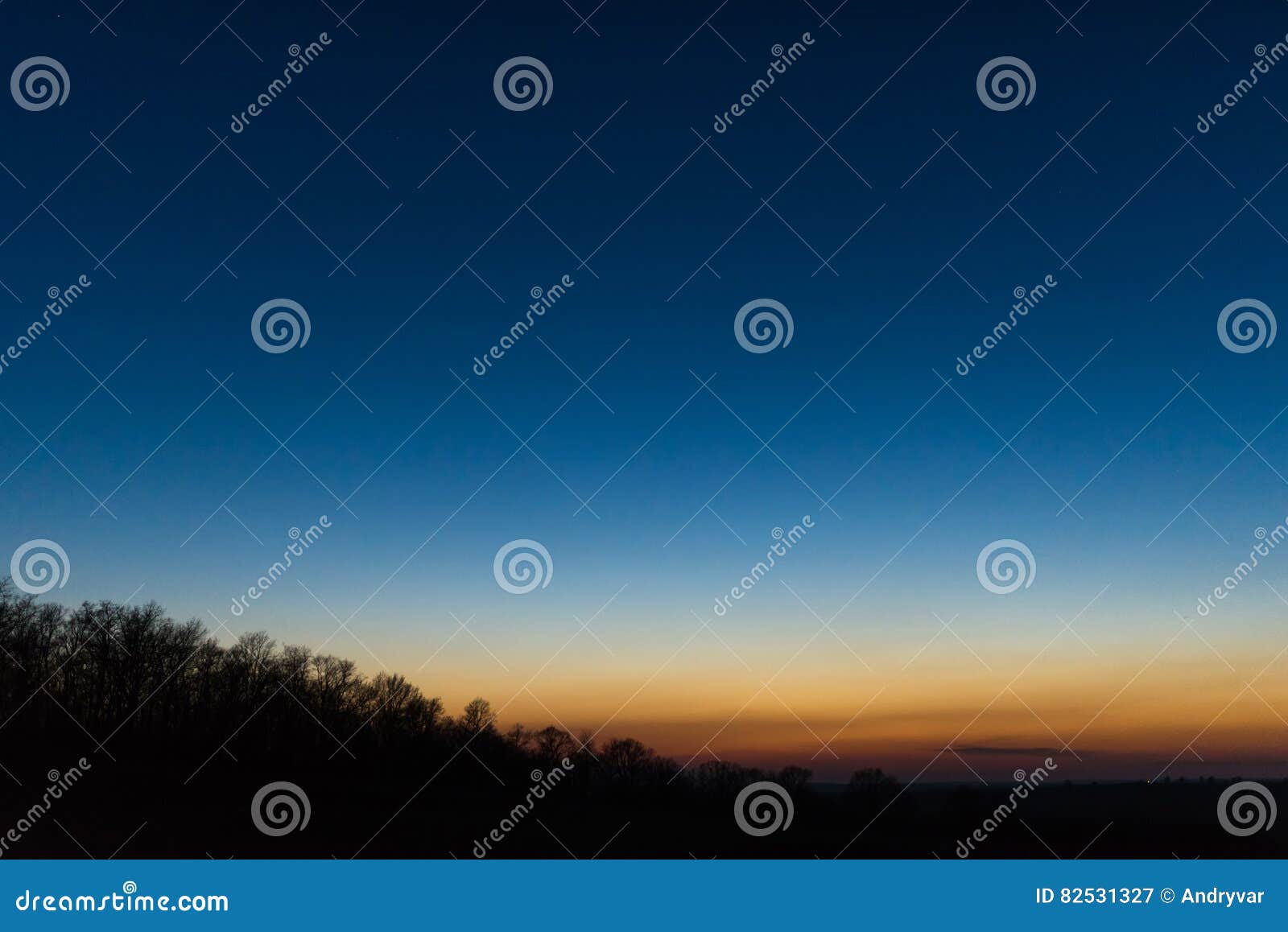 Starry Night Sky with Trees Stock Image - Image of forest, line: 82531327