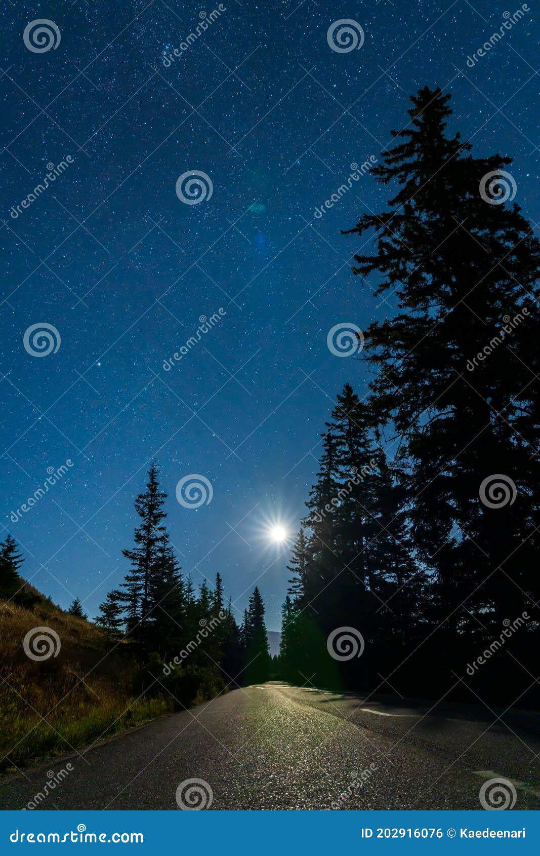 Starry Night in Summer Night, and Bright Moon Light. Stock Photo ...
