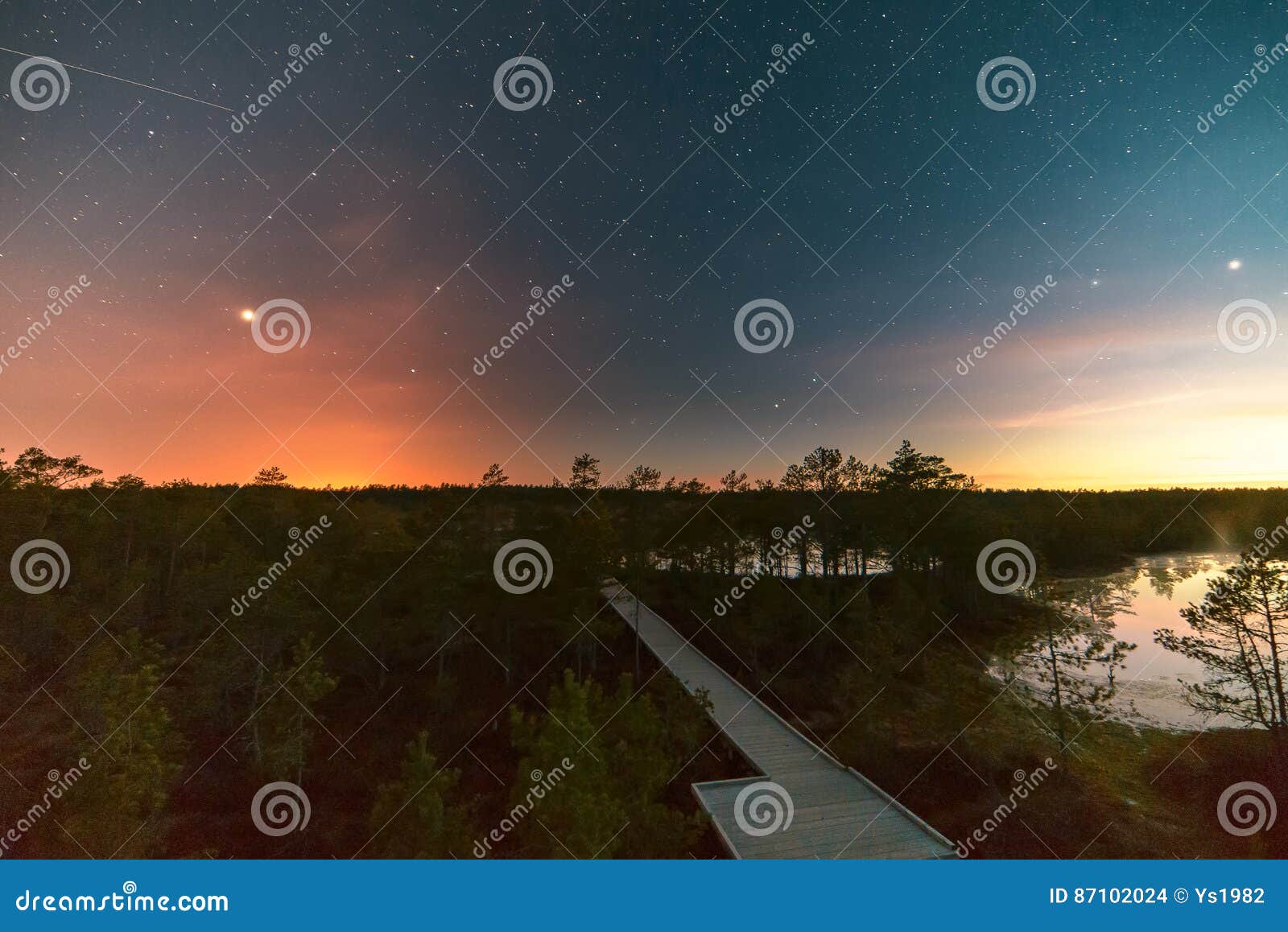 Starry night at a swamp stock photo. Image of adventure - 87102024