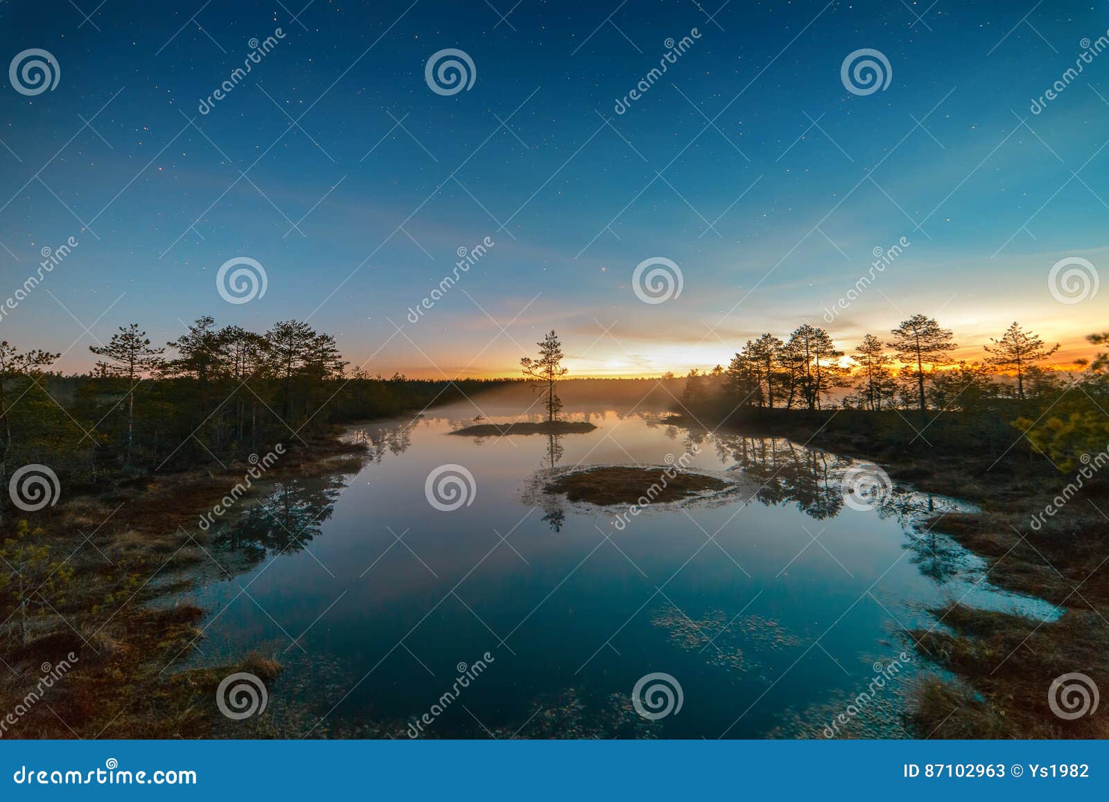 Starry night at a swamp stock image. Image of milky, greenery - 87102963