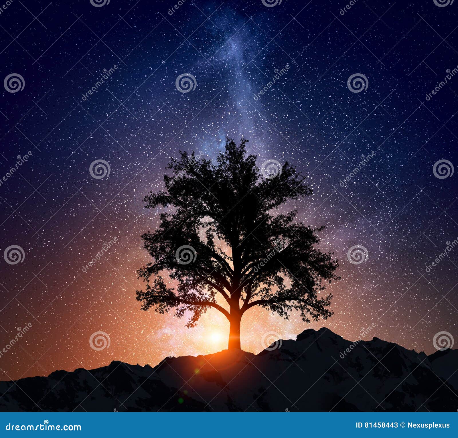 Starry Night and Tree . Mixed Media Stock Image - Image of light, black ...