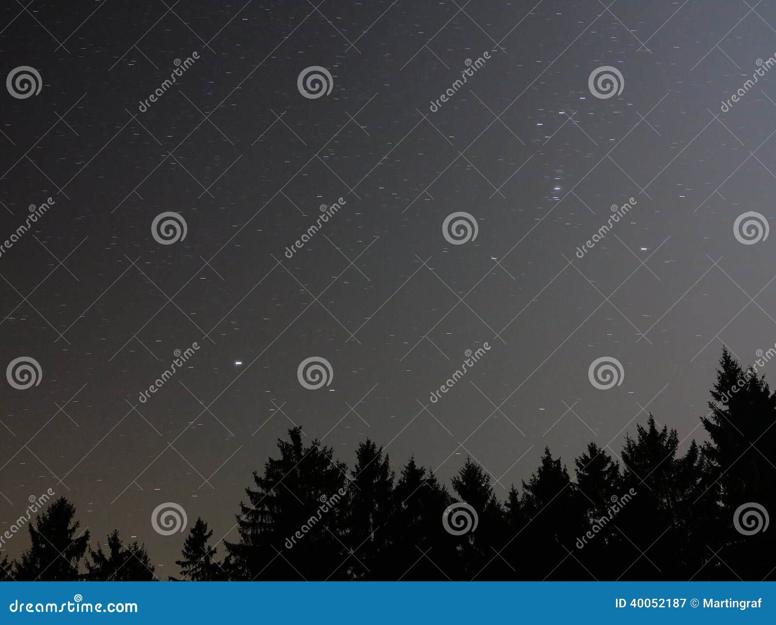 Starry Sky Above Fir Forest Night Scene Motion Blur Stock Image - Image ...