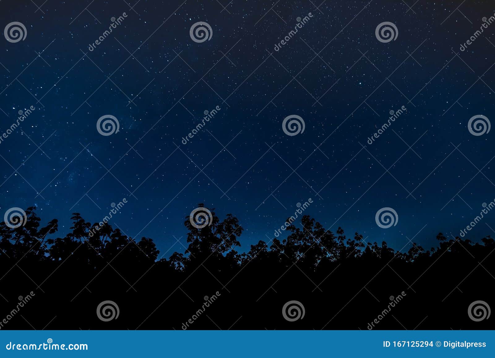 Starry Sky Landscape stock photo. Image of nature, astronomy - 167125294